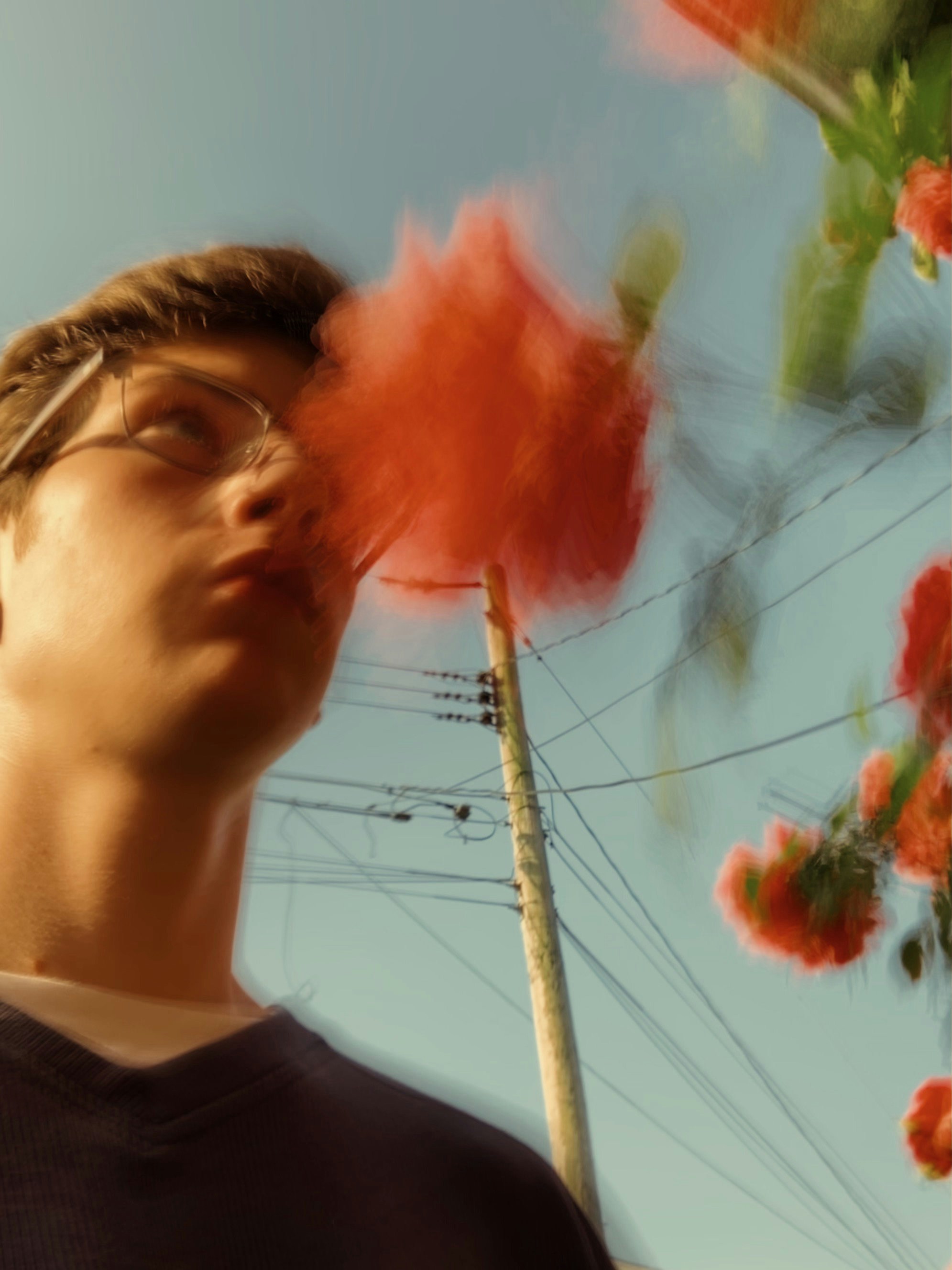 Tilted Self-Portrait Amid Blurred Red Blossoms and Utility Lines