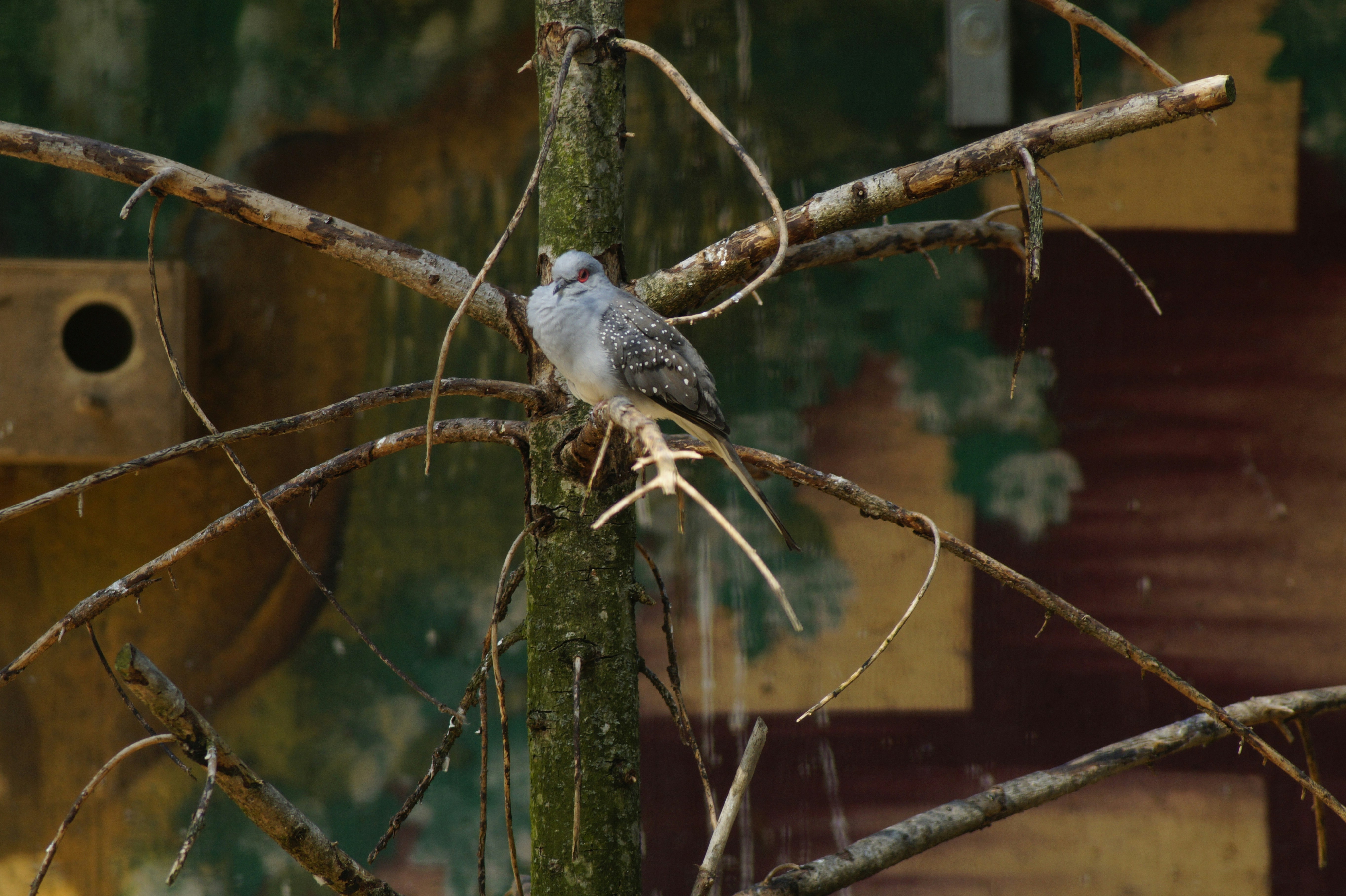 Photo by Stefan Luft with Sony Alpha 58