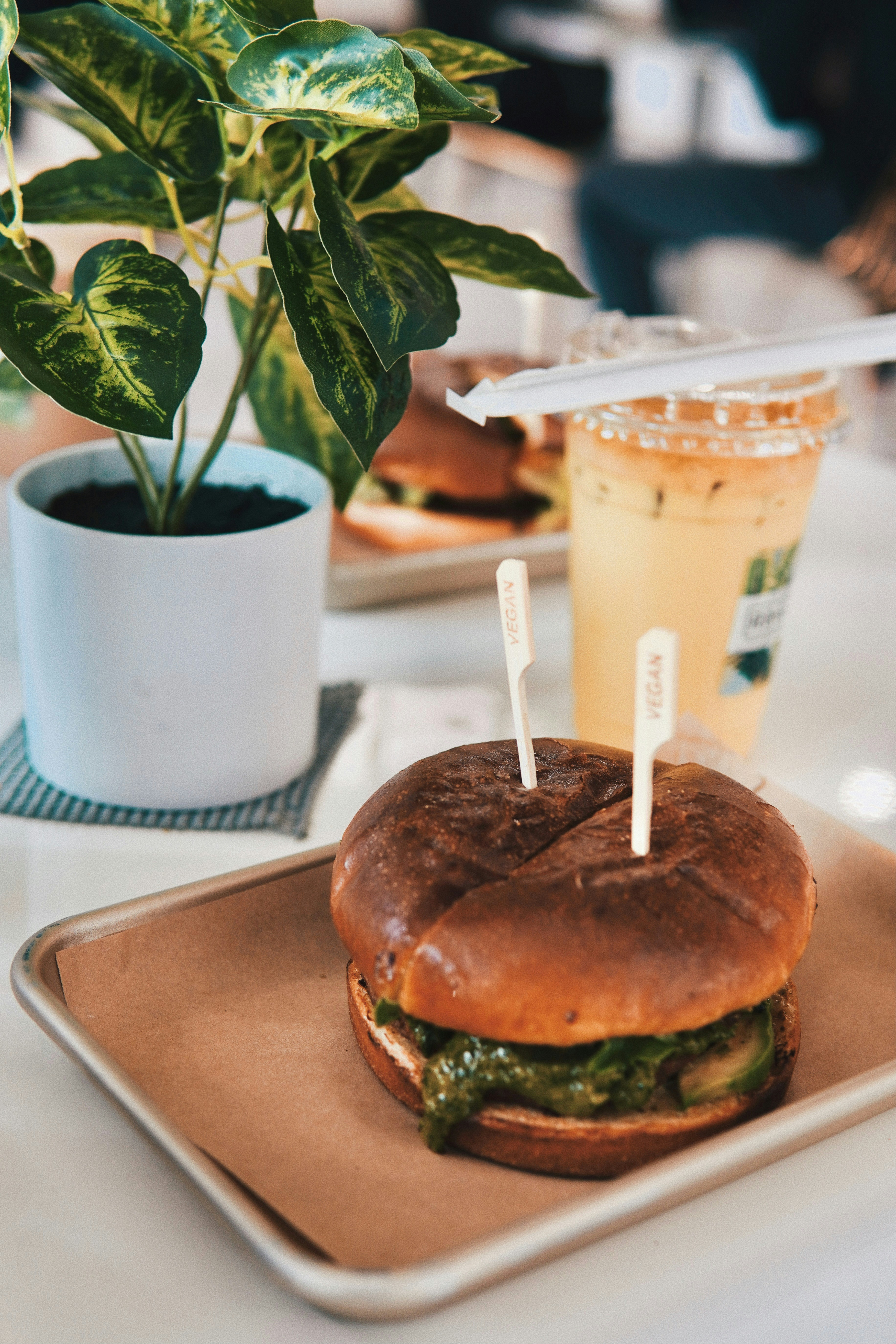 Gourmet Garden Bite: a burger on a tray with a leafy plant backdrop