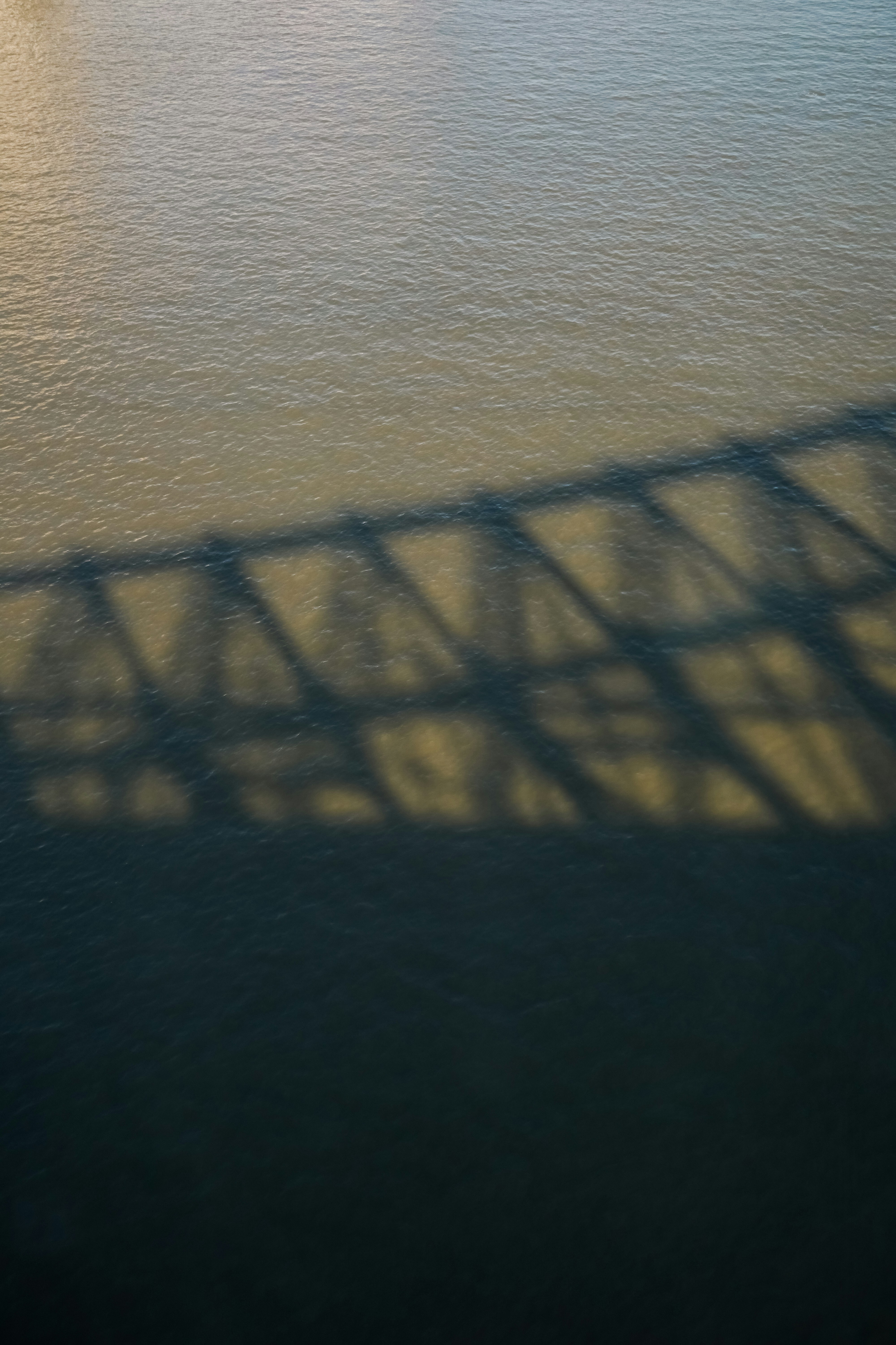 Photo by Adam Bignell with Sony Alpha 6400