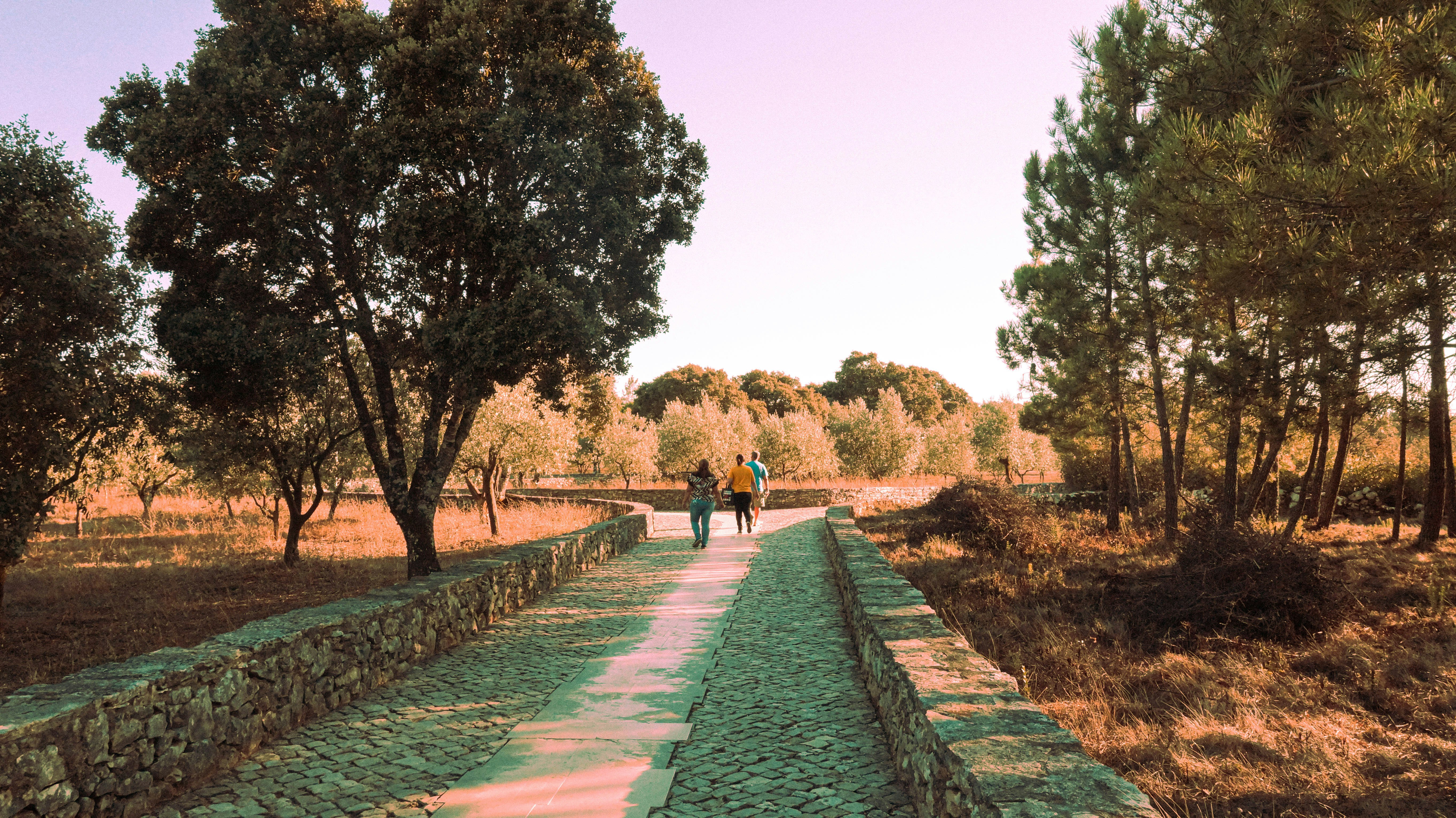 Photograph of a stone-walled path receding into a warm, sunlit park with a small group walking away.