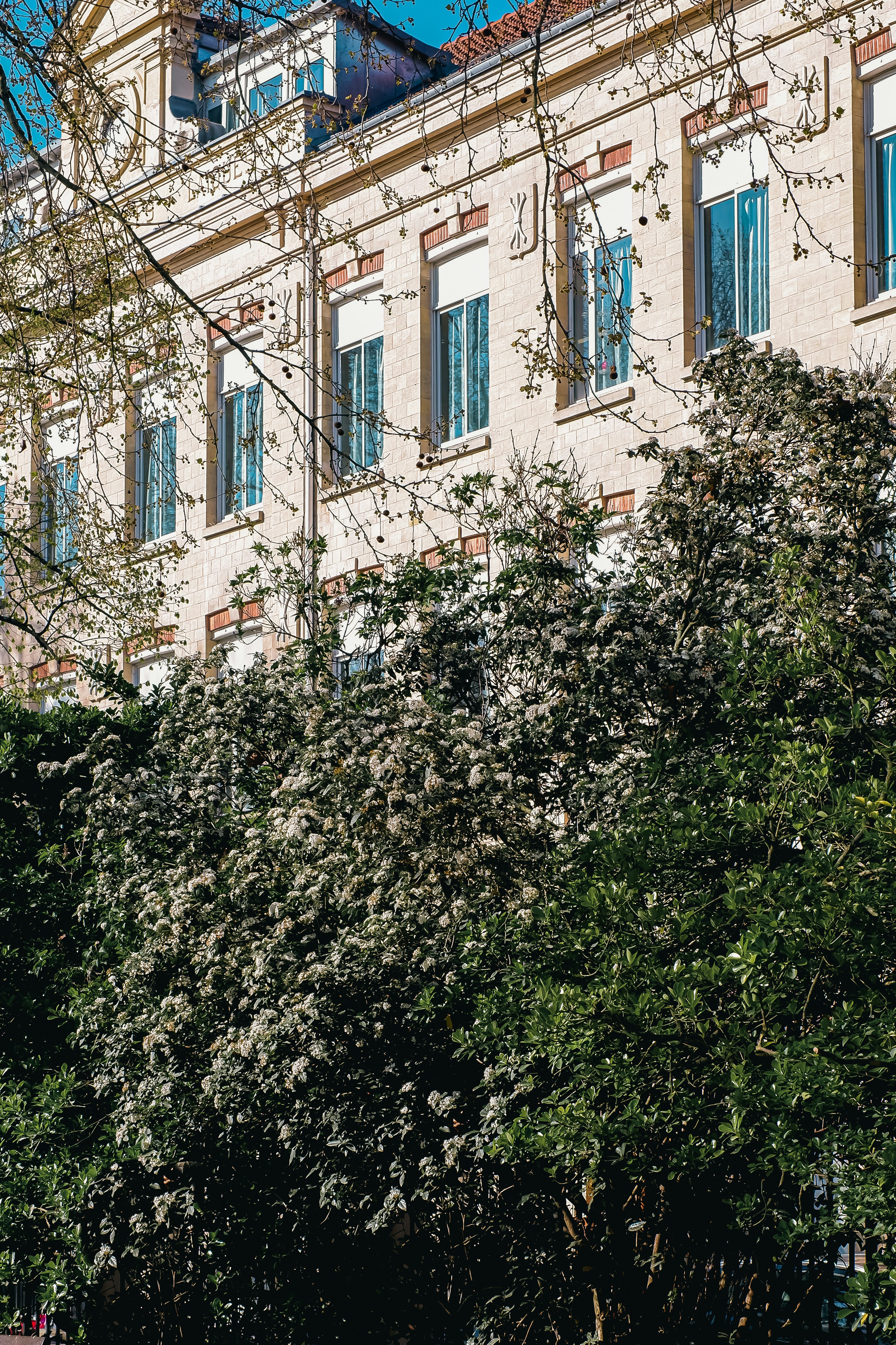 Spring-Frame Facade: Windows Beneath a Cascading Canopy