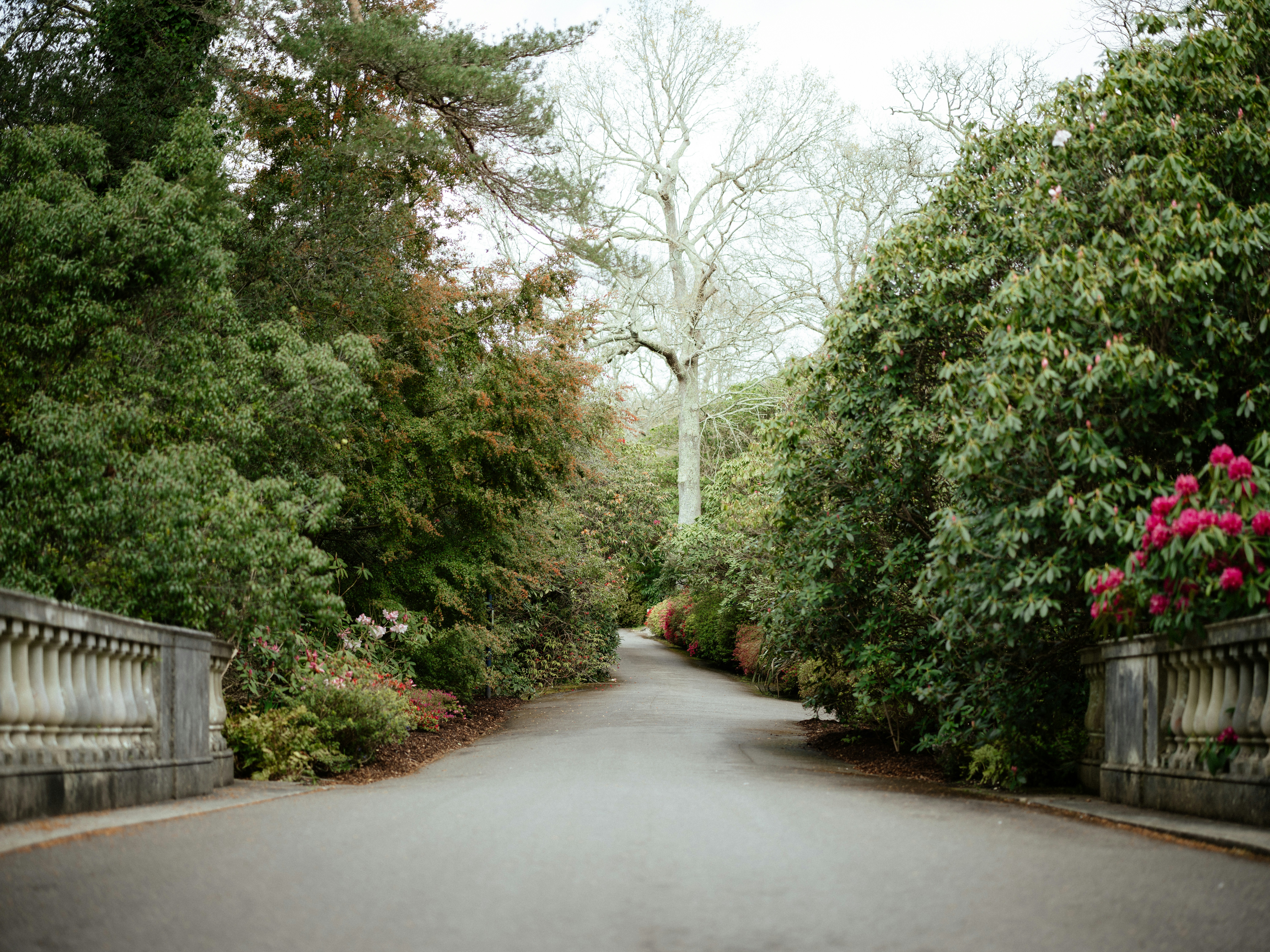 Photo by Annie Spratt with Hasselblad 907X 50C