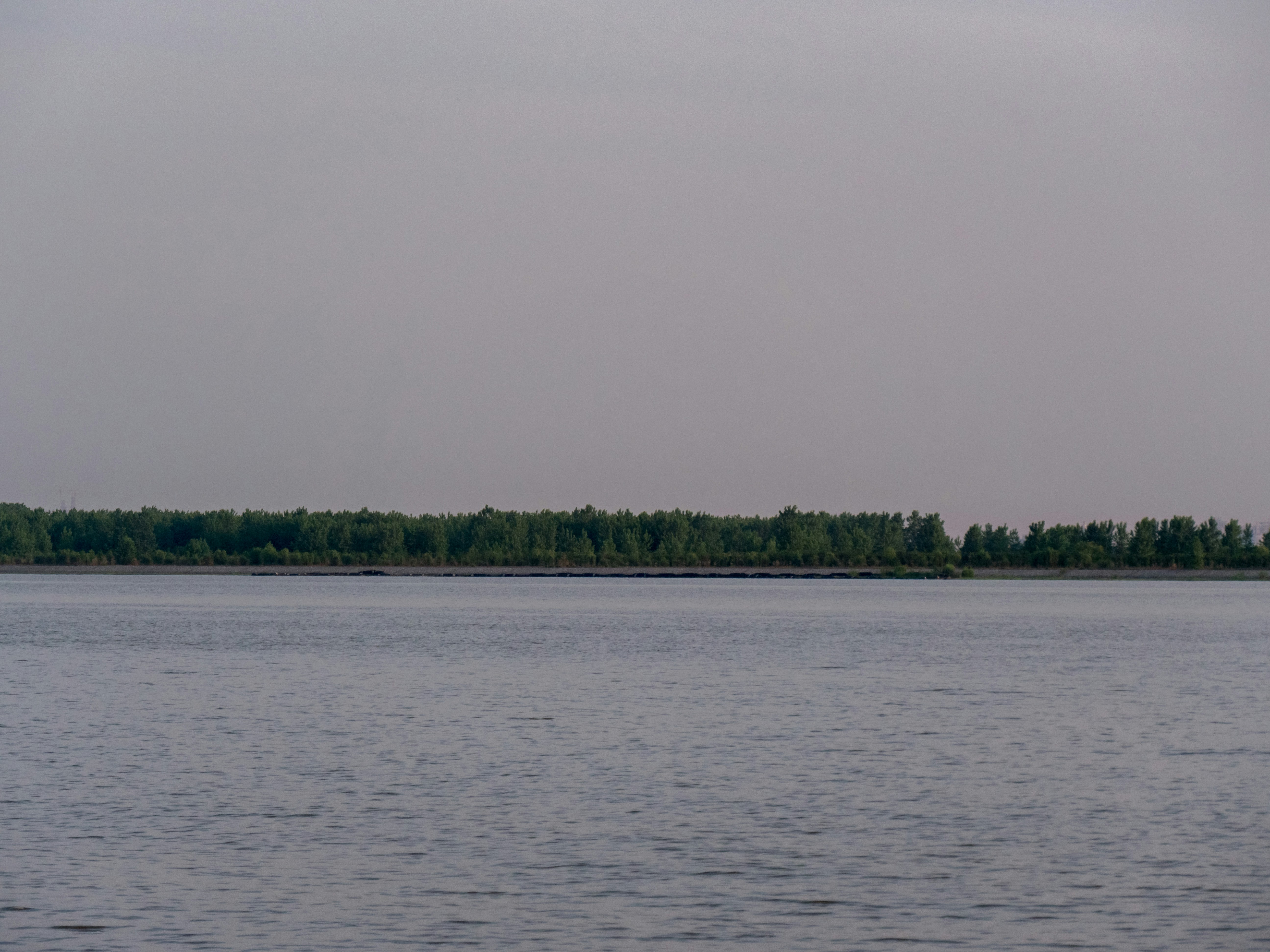 Lush green trees line the horizon over a calm body of water, creating a peaceful atmosphere. The subtle gradient of the sky adds to the tranquility.