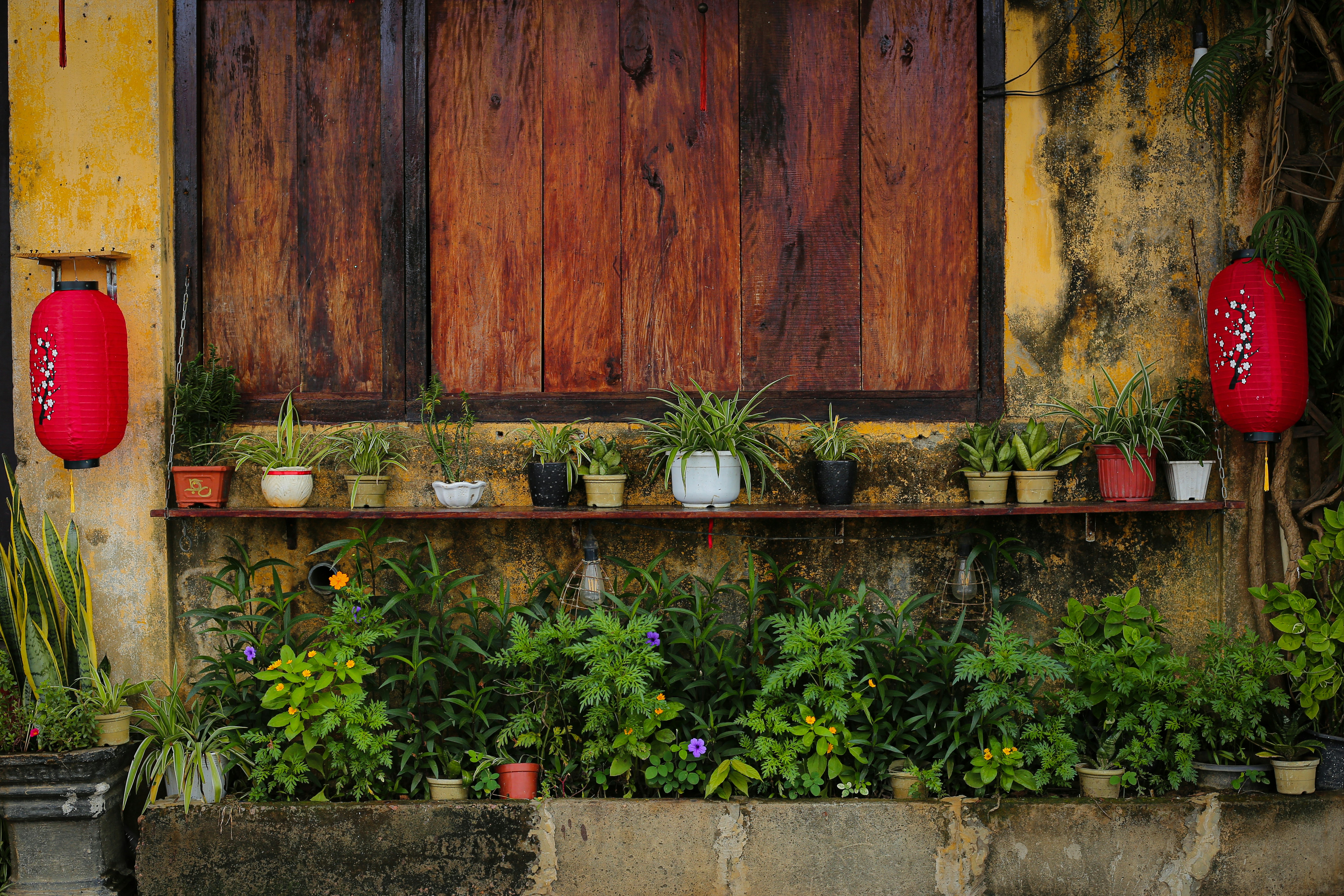 Red Lanterns Framing a Weathered Door Over a Lush Balcony Garden