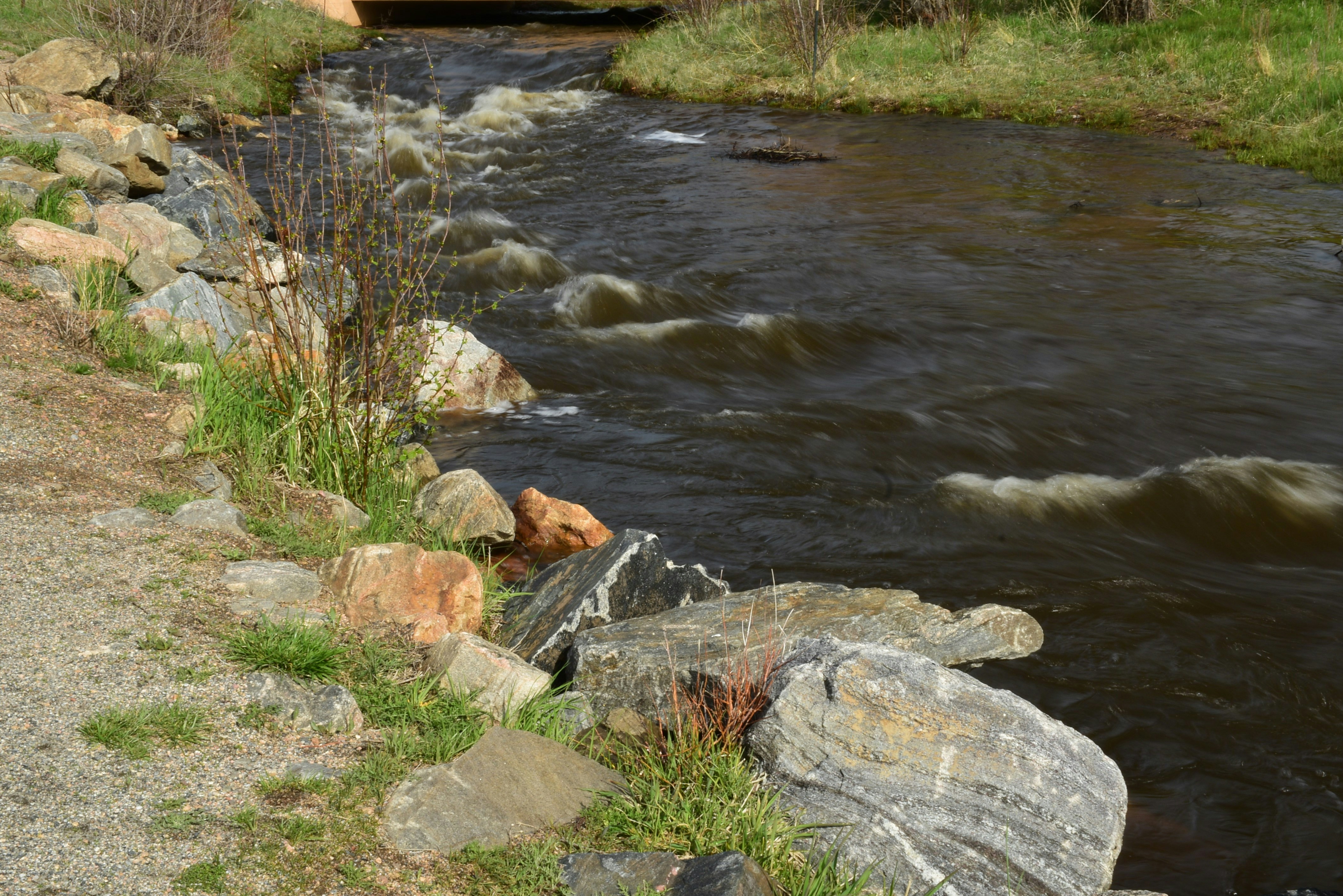 Evergreen Nature Center, Evergreen, Colorado, USA | a river running through a lush green forest