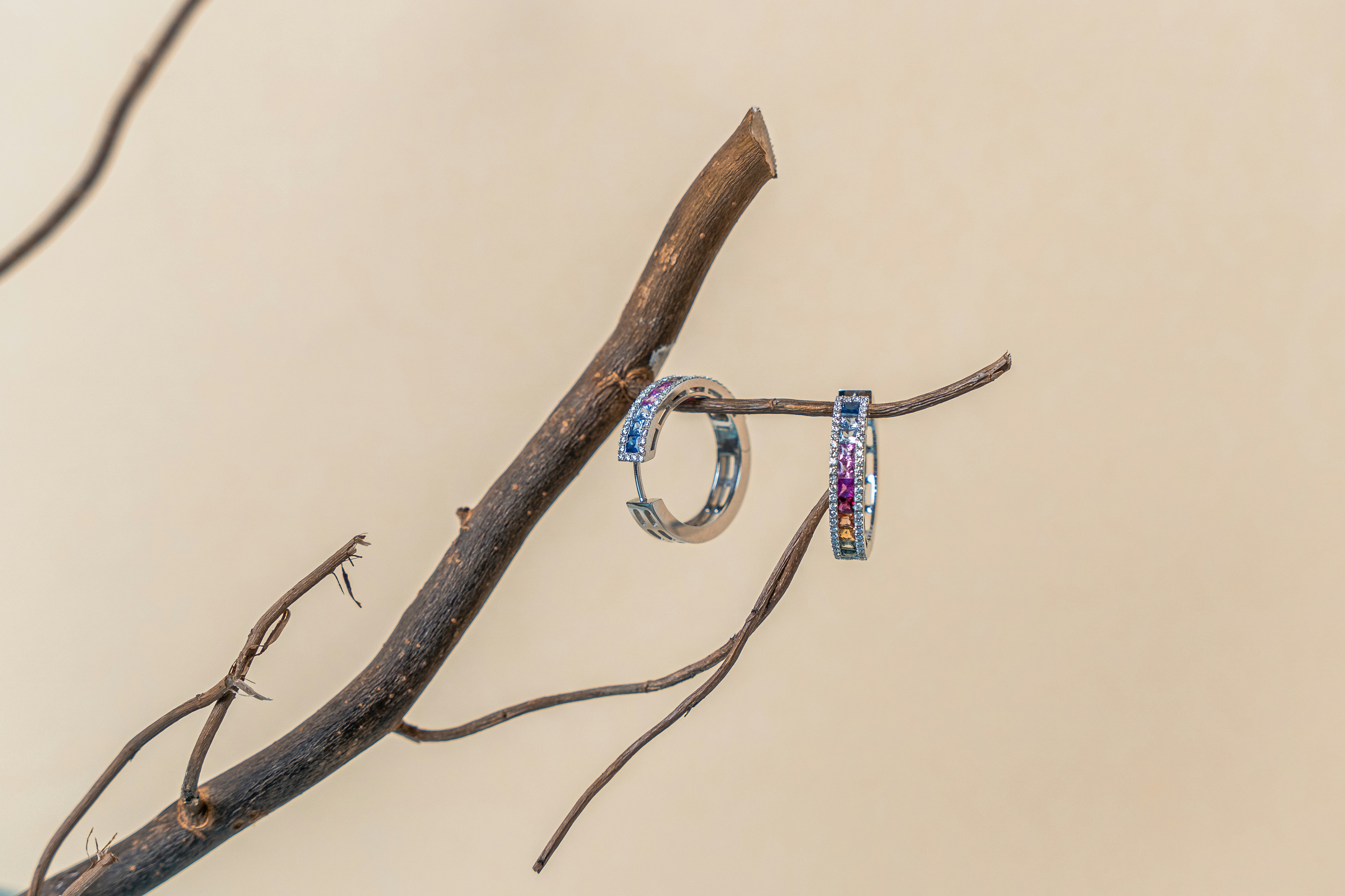 A branch with two rings hanging from it photo – Free Qatar Image on ...