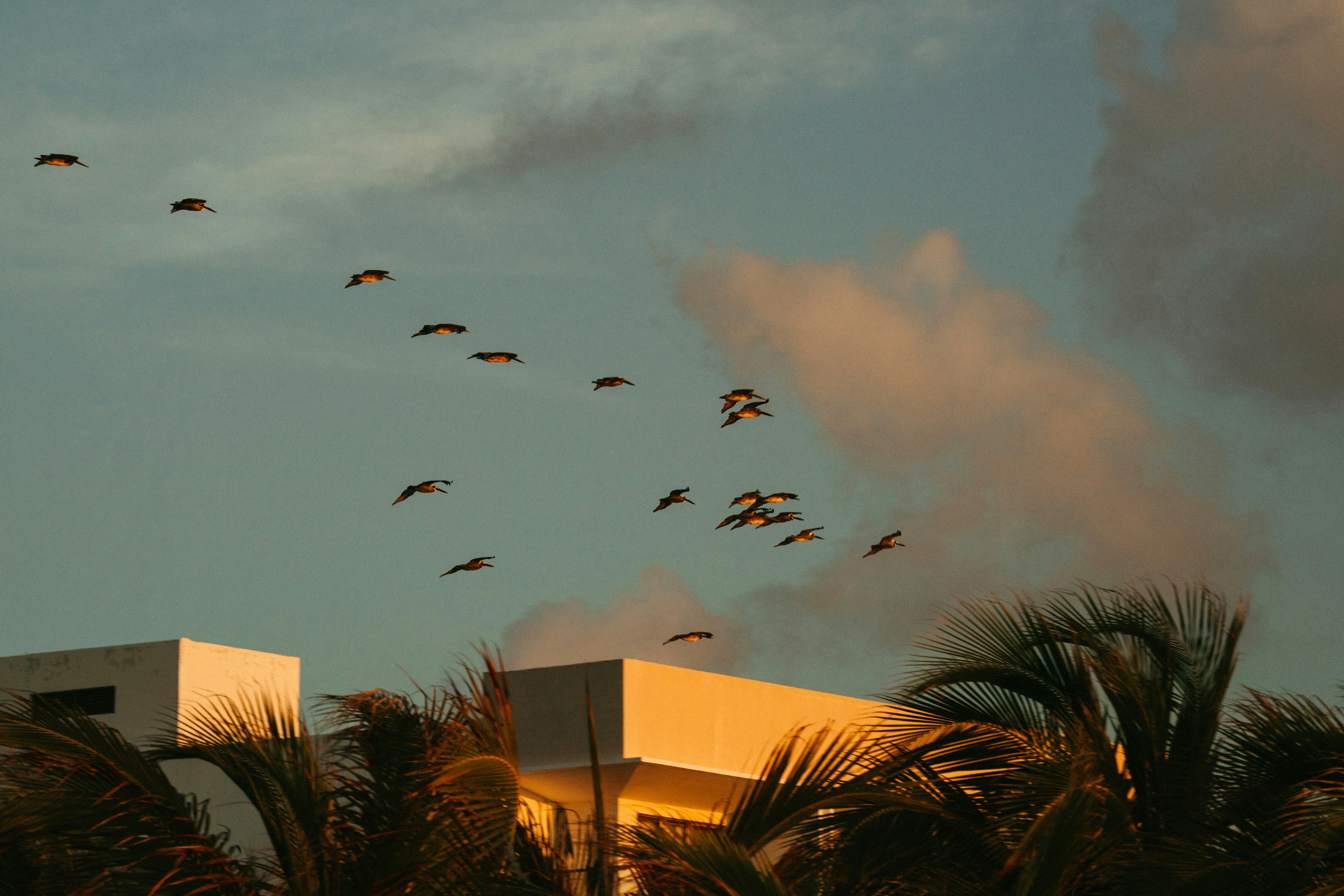 Photo by Patricia Brochu with Sony Alpha 9