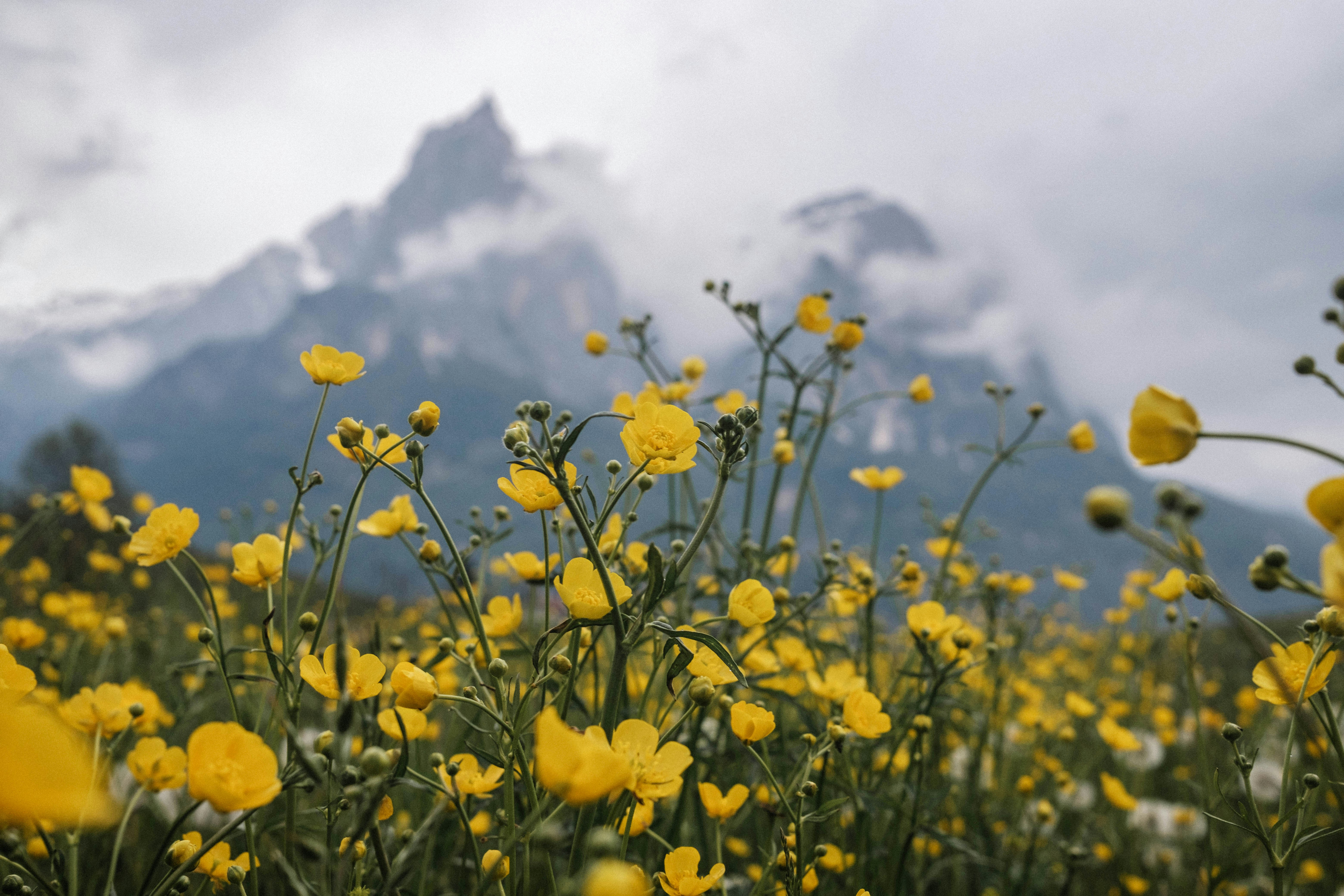 Photo by Tomáš Hirsch with Fujifilm X100V