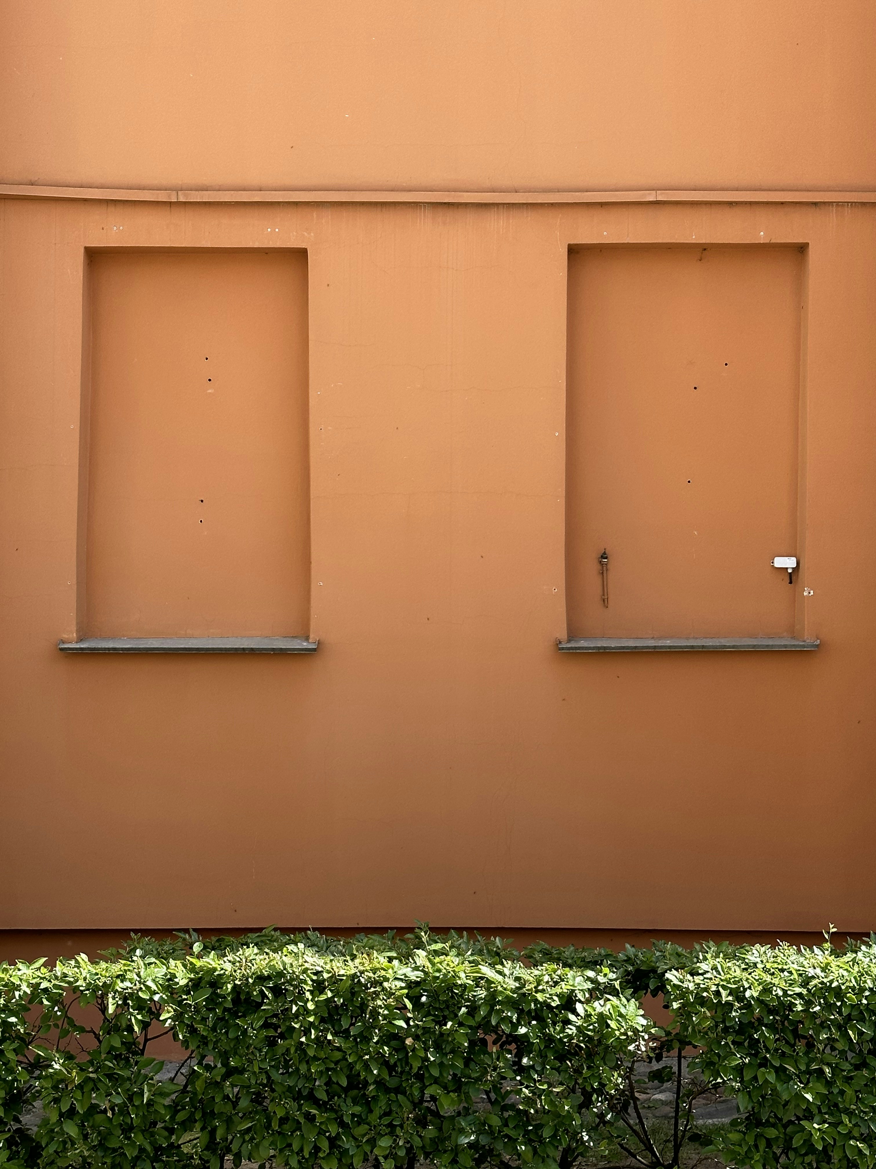 Twin Terracotta Recesses Framed by a Low Green Hedge