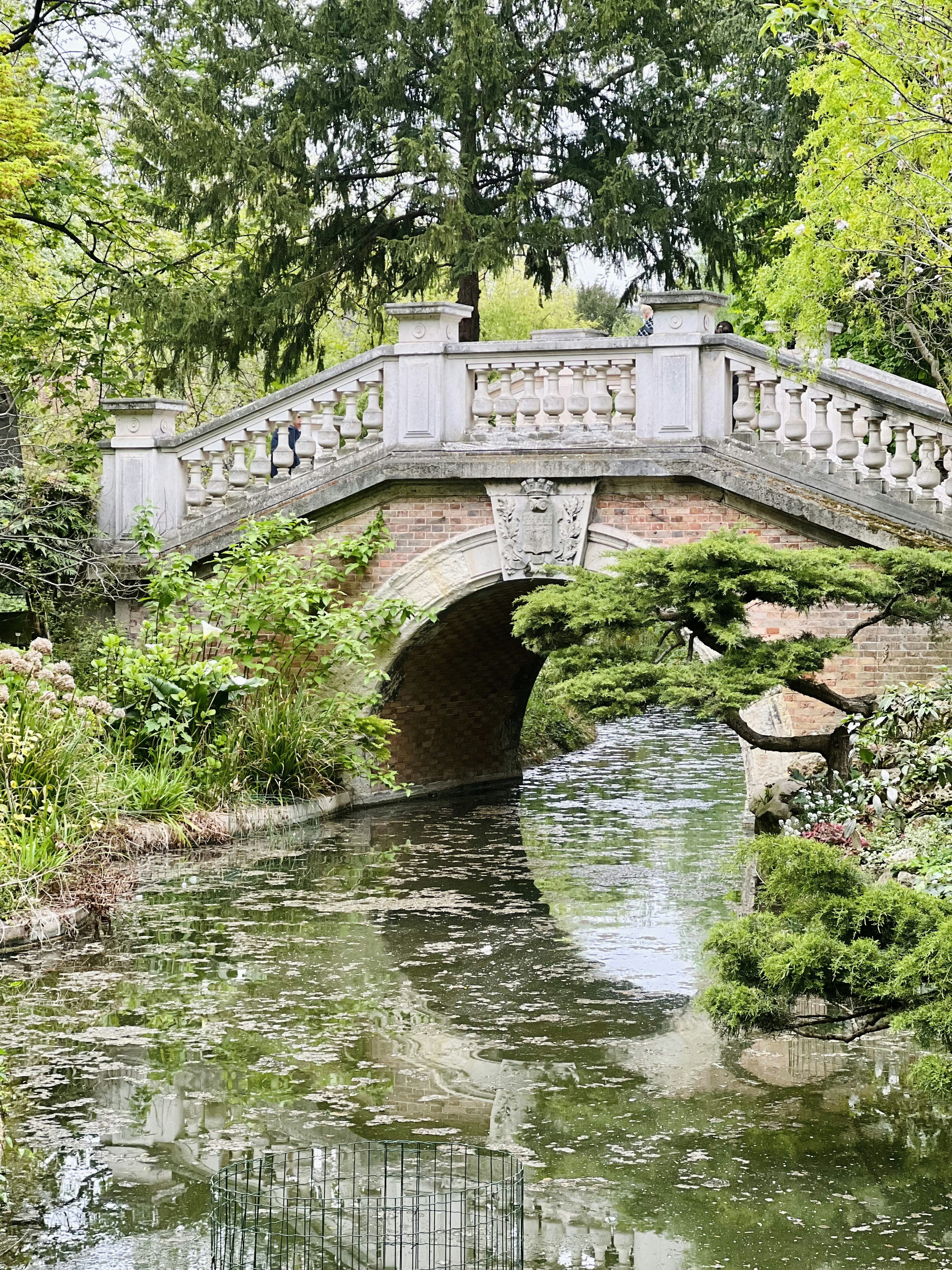 A bridge over a small river in a park photo – Free France Image on Unsplash