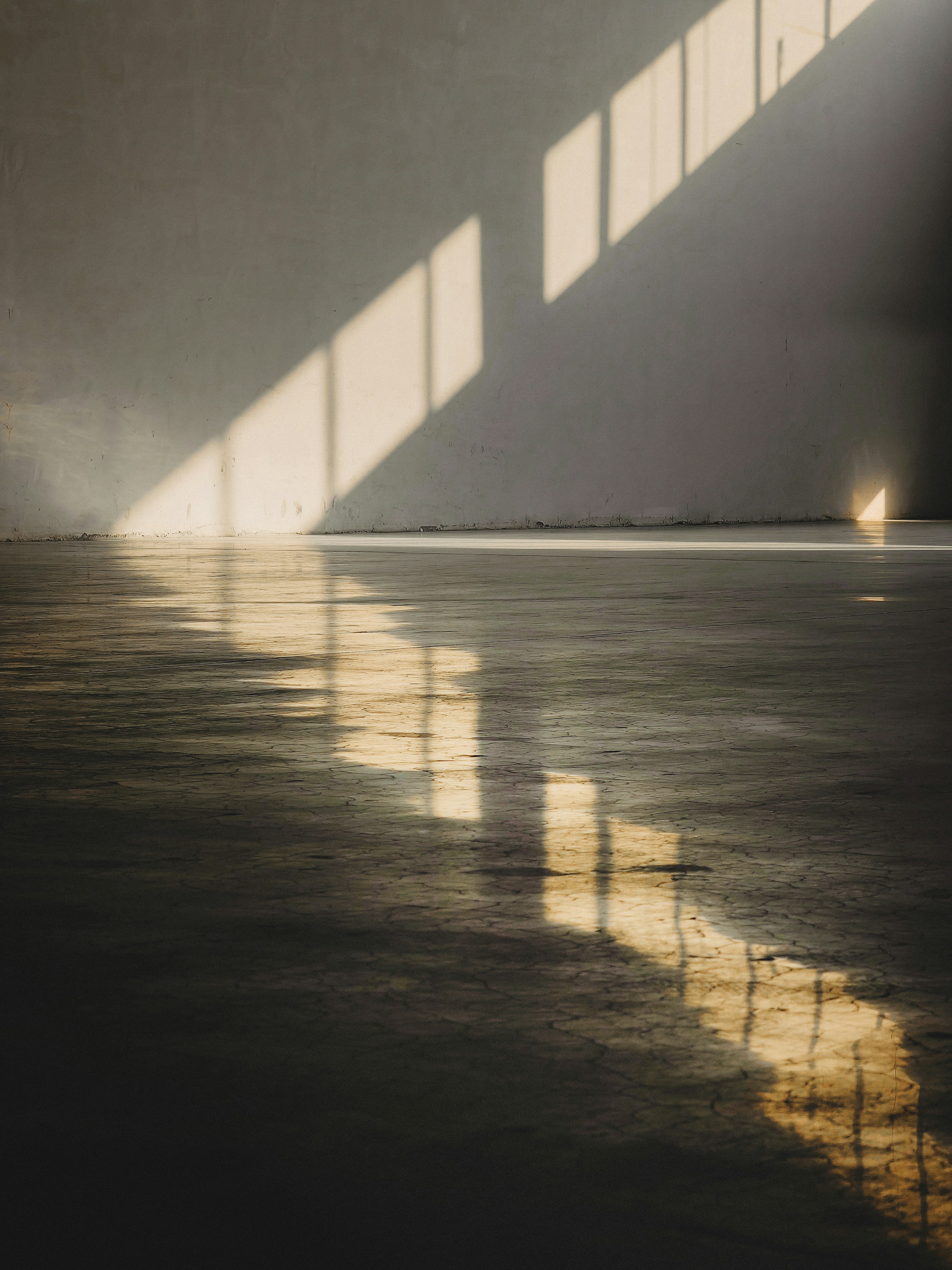 A long shadow of a person standing in a room photo – Free Build Image ...
