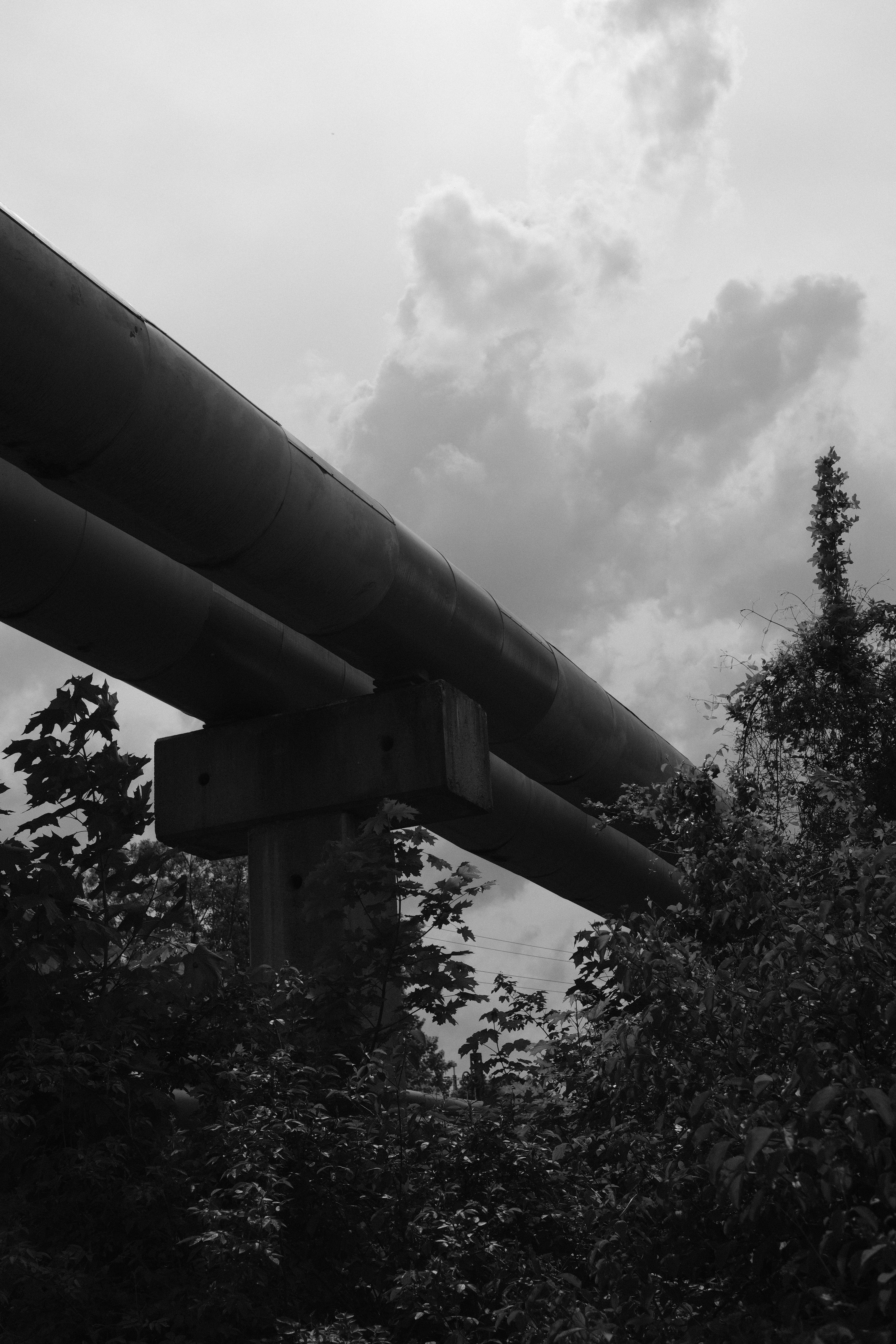 Overgrown Backbone: A Monochrome Pipeline Crossing the Sky