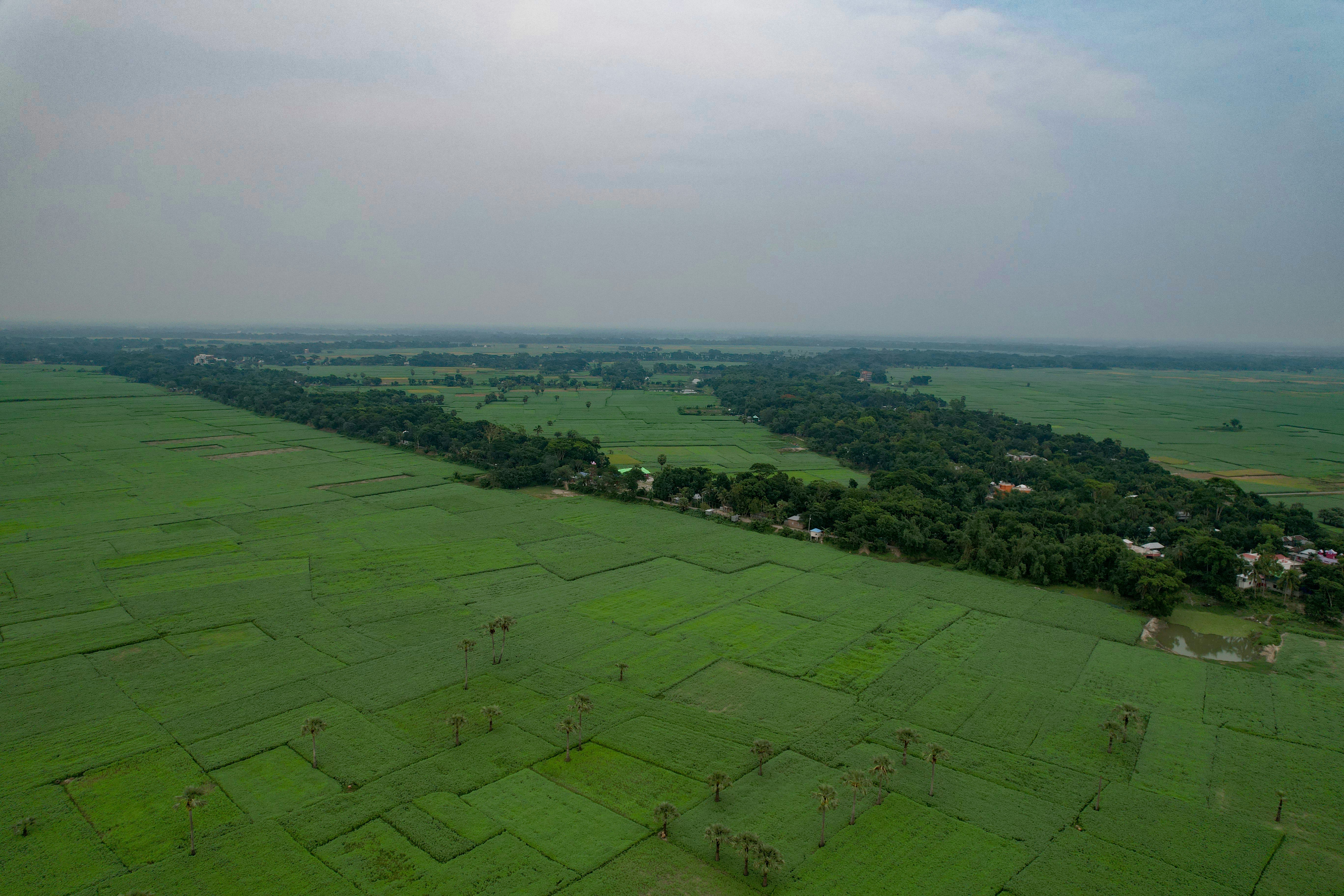Village green nature image, Kodaliya, Faridpur, Dhaka, Bangladesh