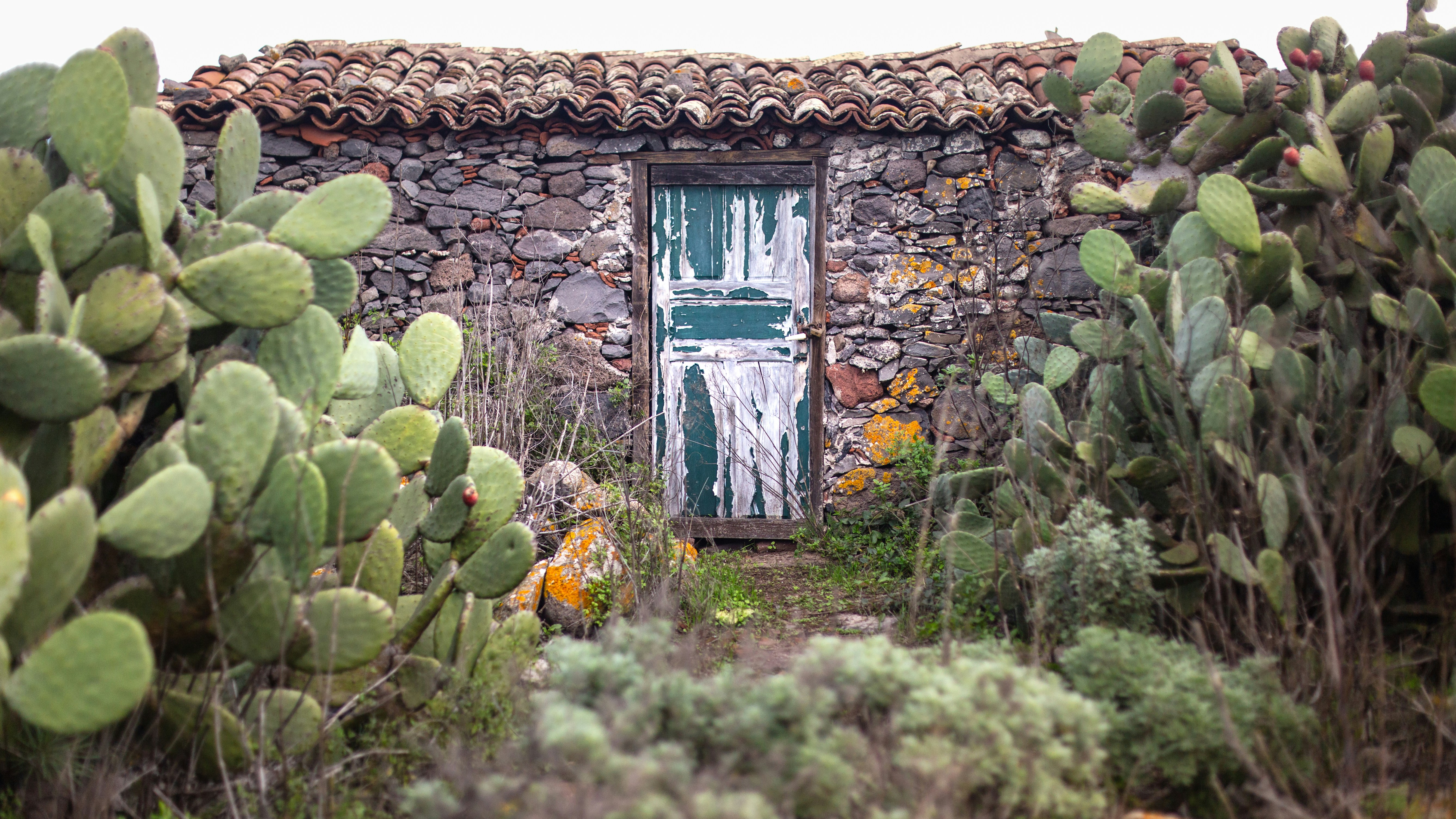 Weathered Doorway in a Cactus‑Framed Stone Cottage