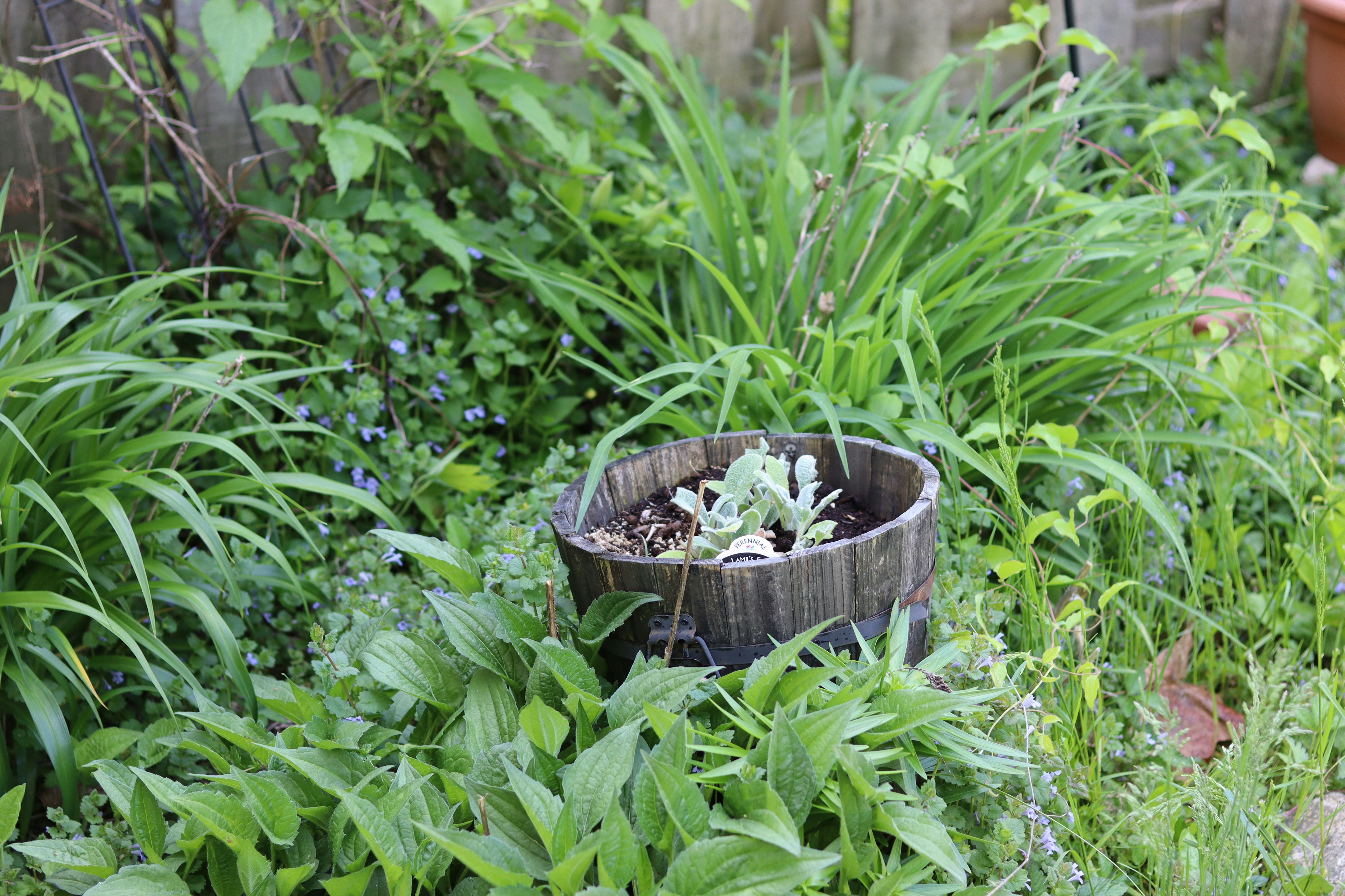 Photo by K F with Canon EOS 850D