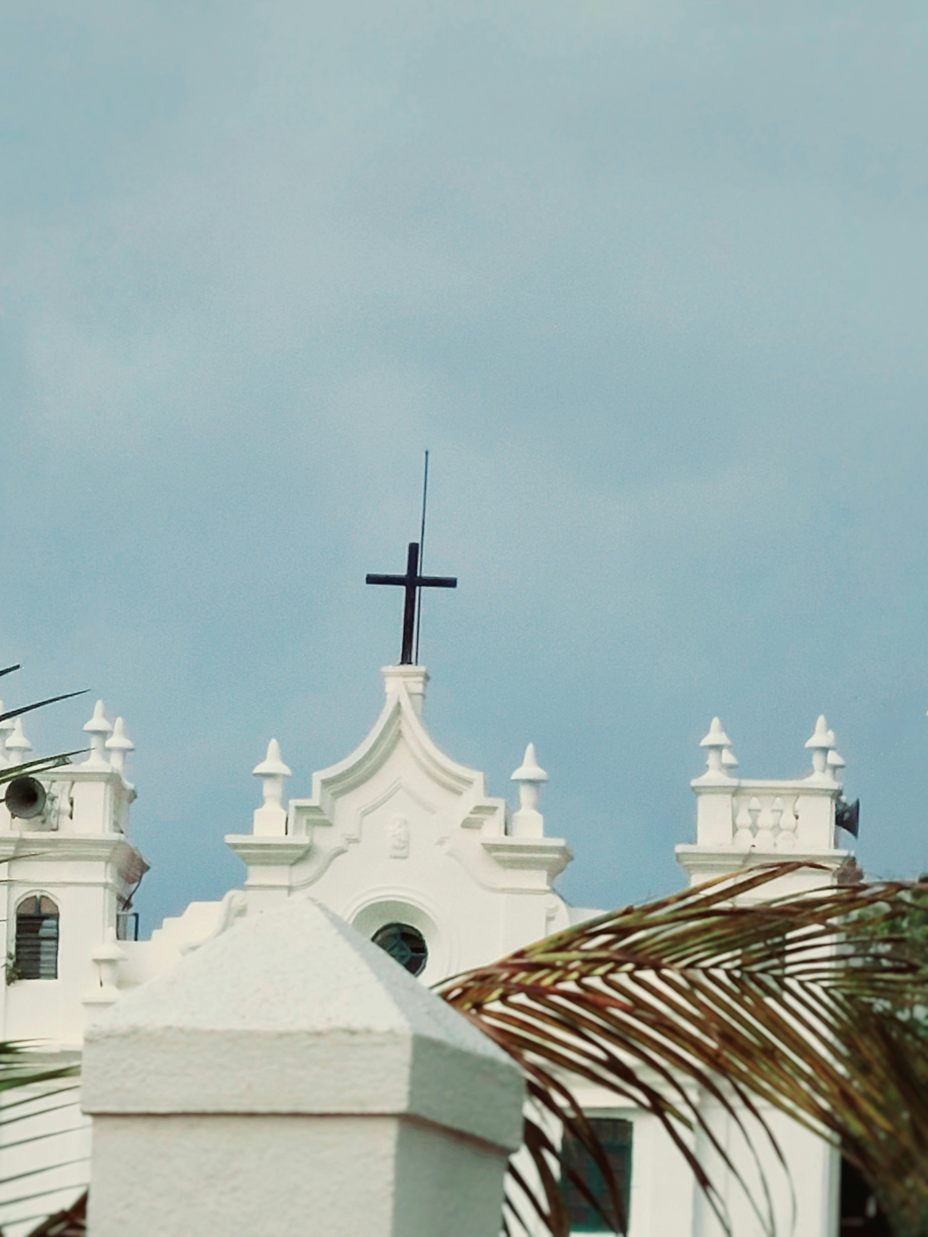 Photo by Nick Cardoso with Samsung Galaxy S20 Plus