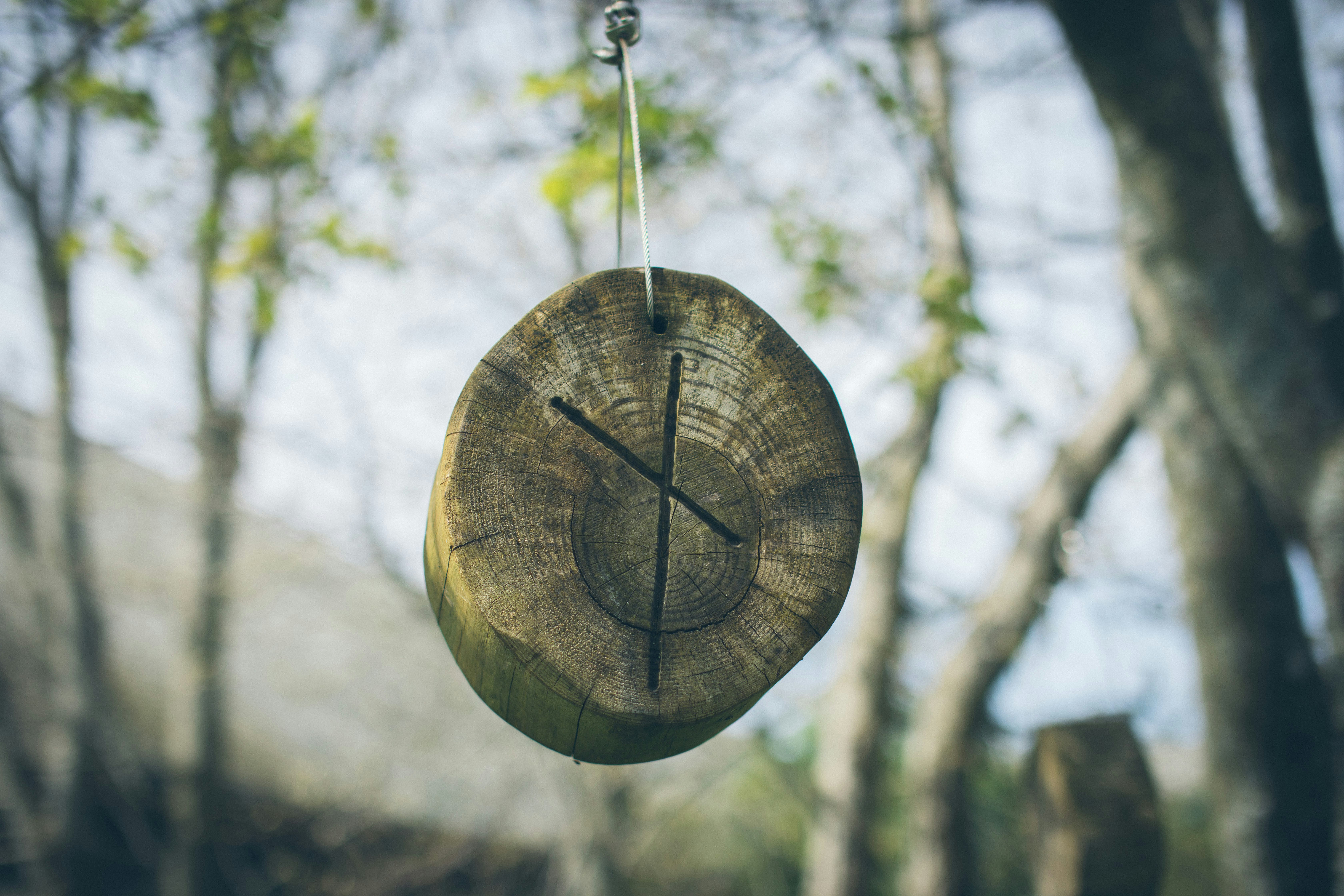 A clock hanging from a tree in a forest photo – Free Runes Image on ...