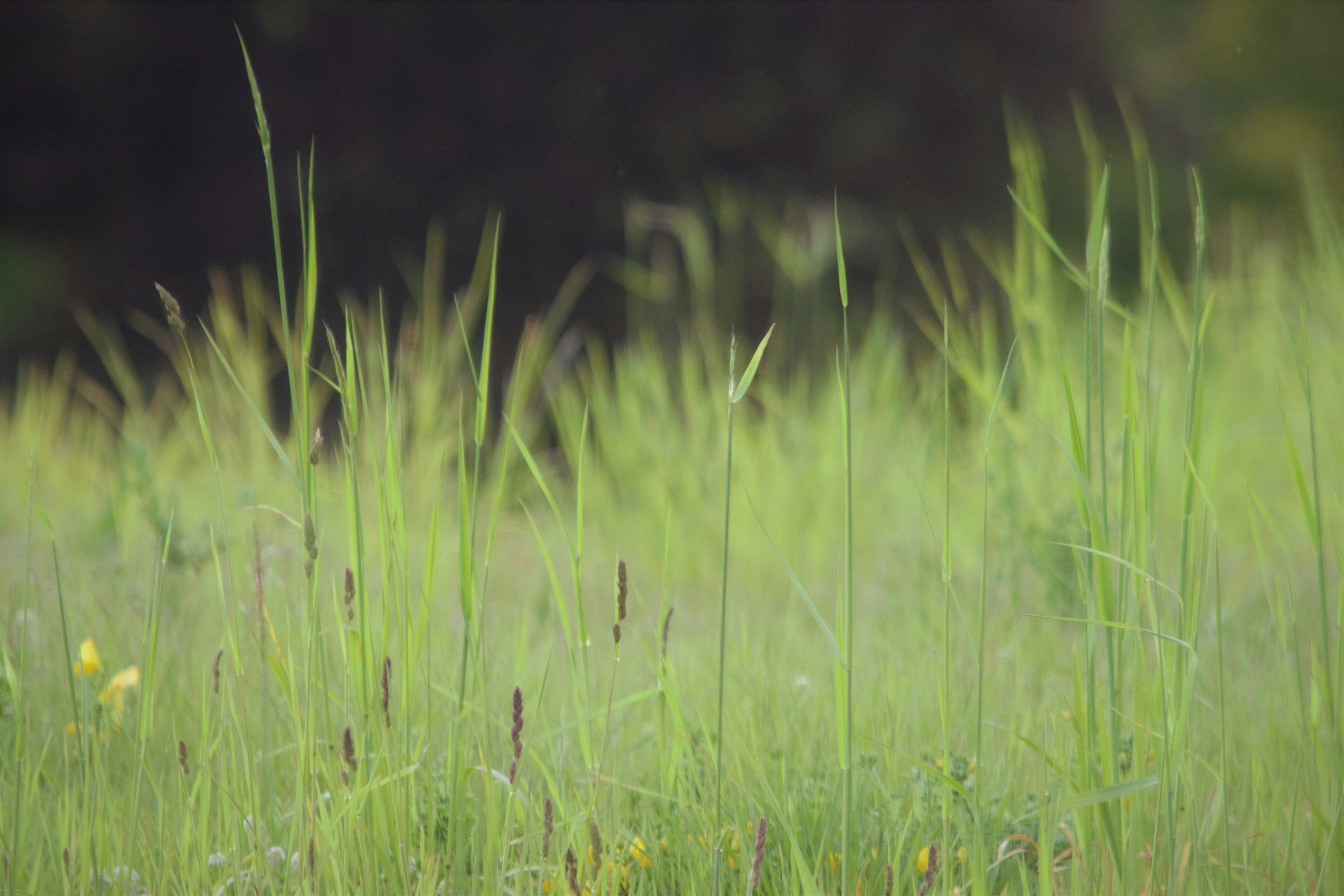 Photo by fr0ggy5 with Nikon D3300