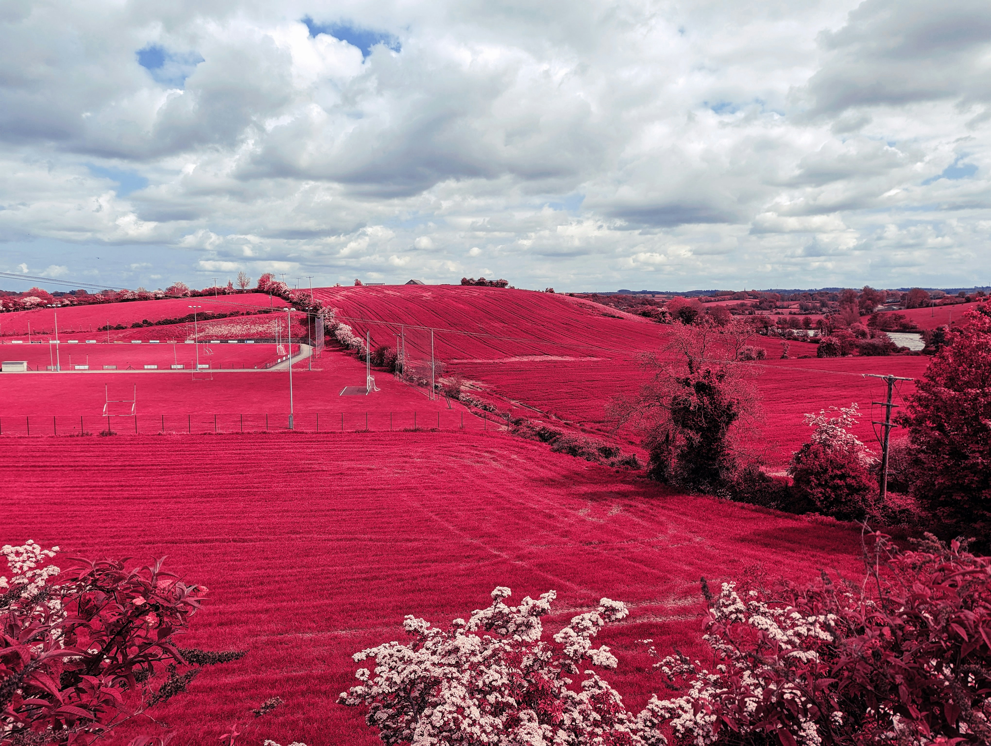 Rose-Tinted Pastures: Lines Toward a Cloud-Washed Horizon