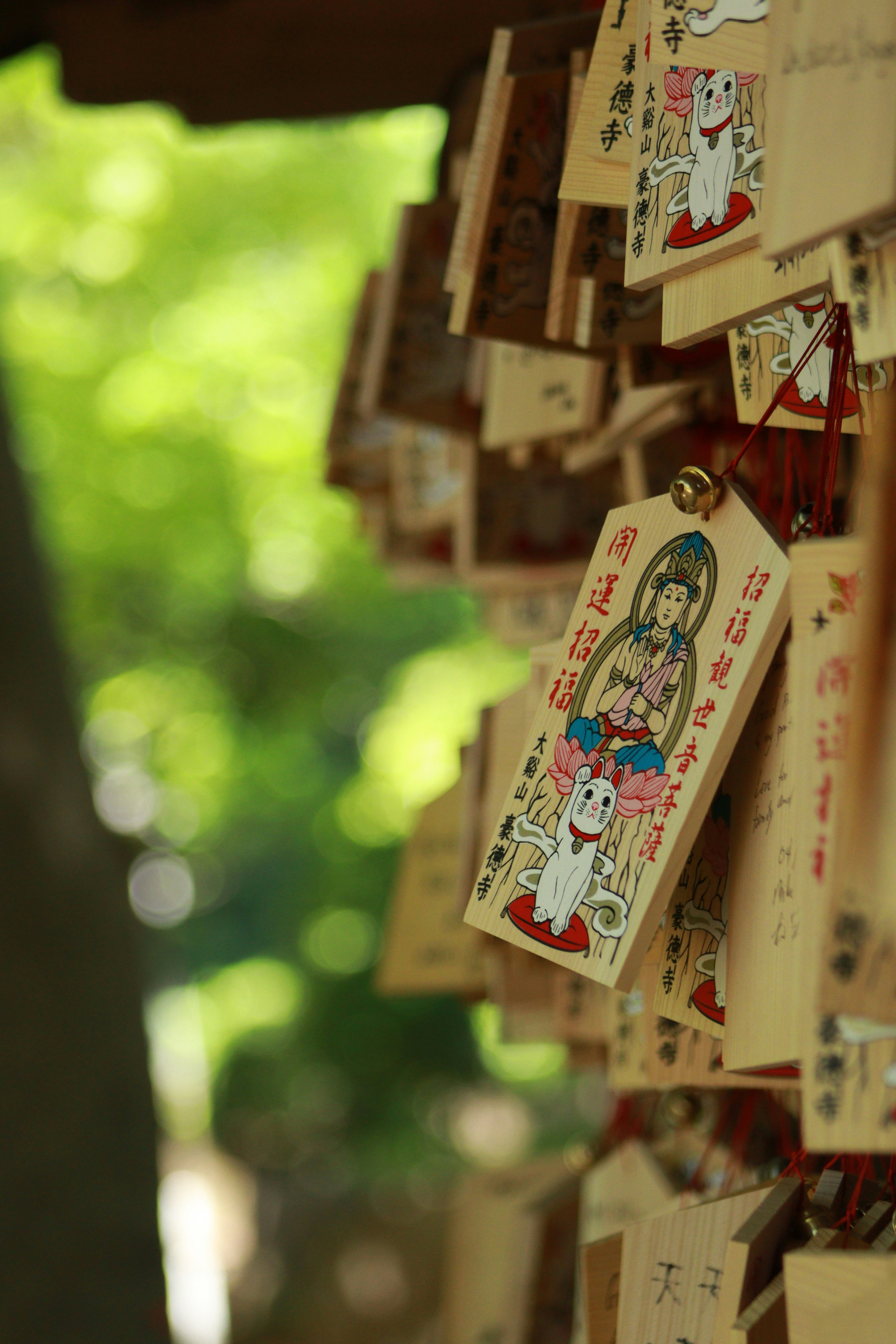 A bunch of tags hanging from a tree photo – Free Gotokuji temple Image ...