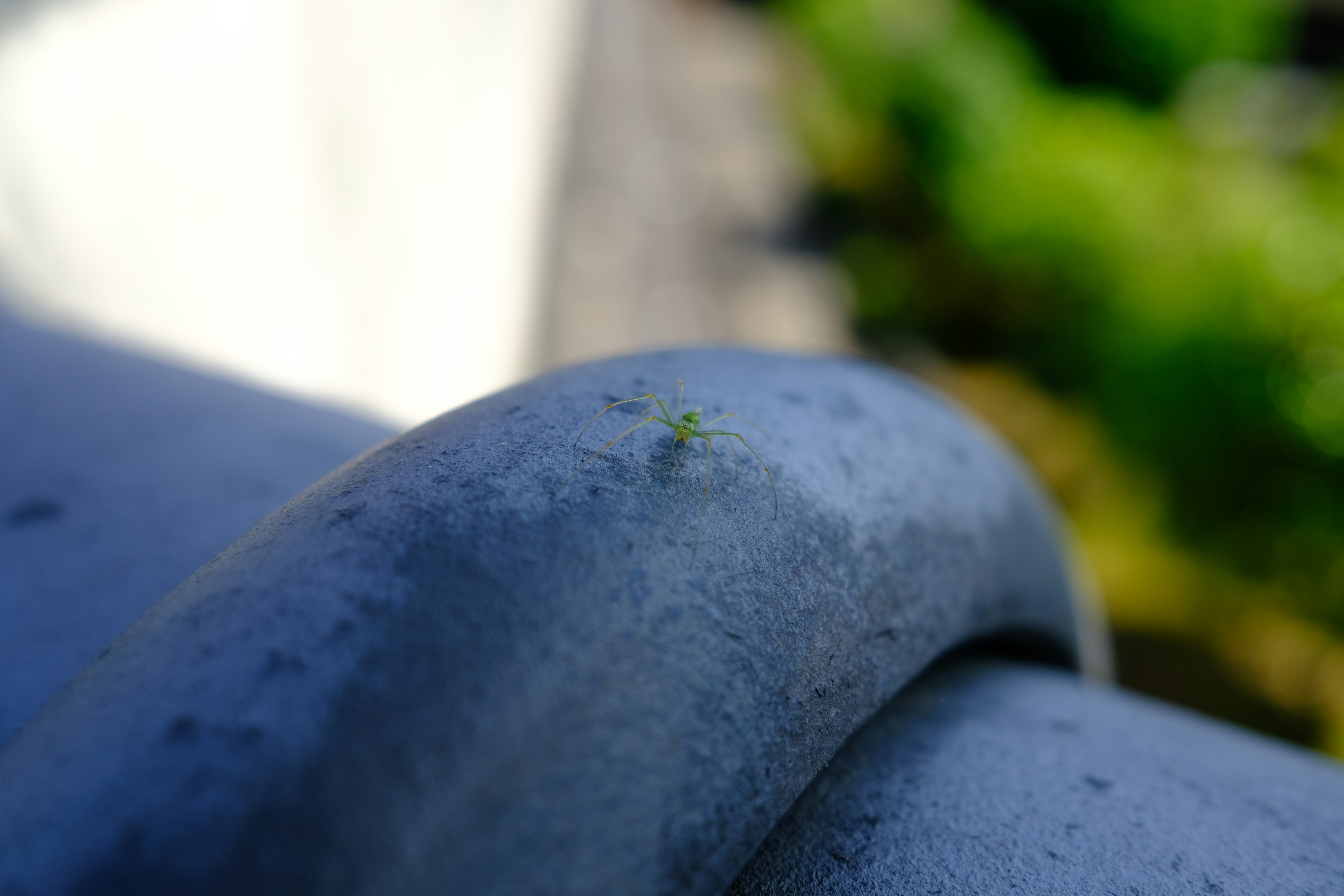 Tiny green sprout blooming on a weathered clay tile