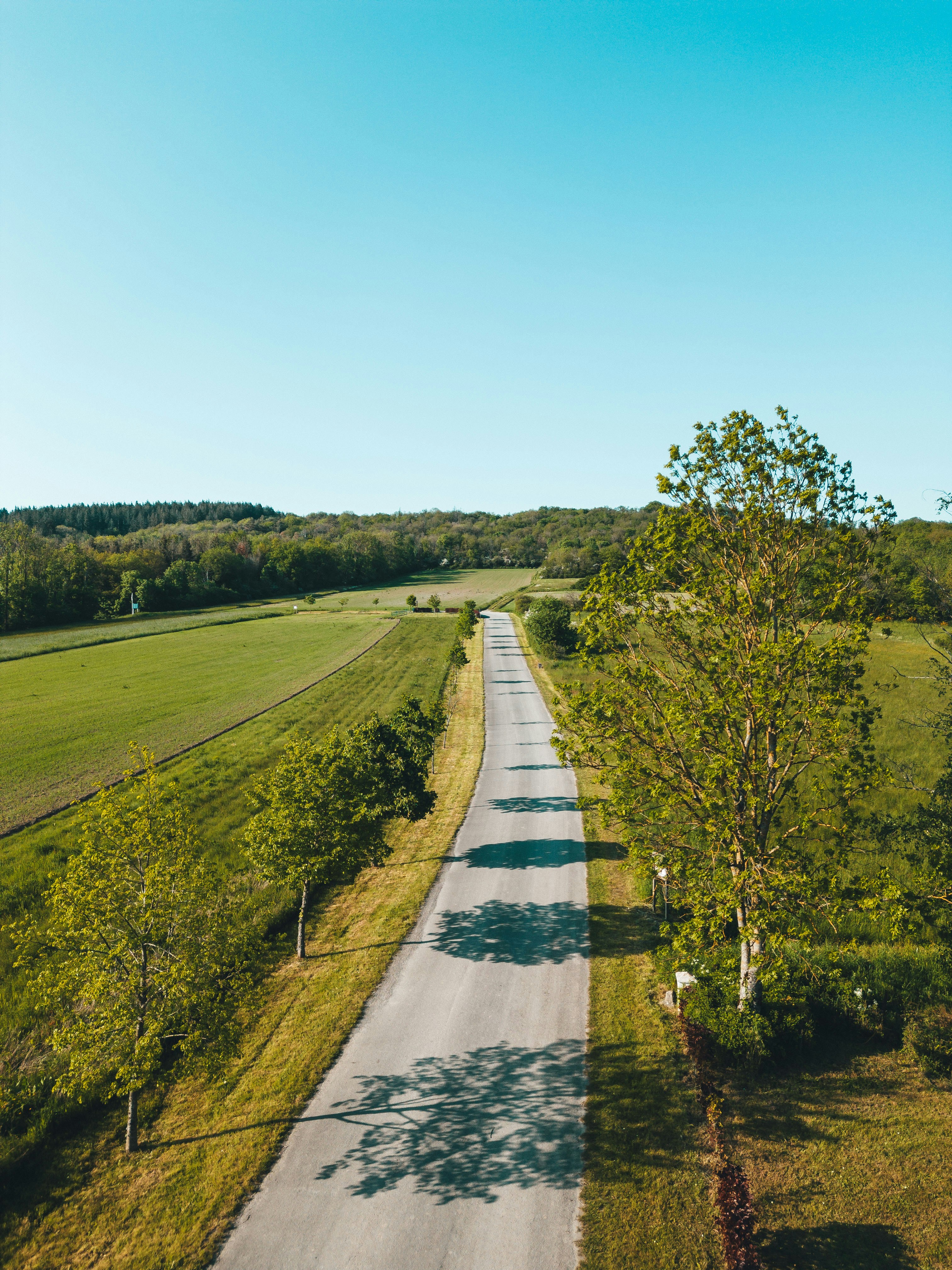 Une route au milieu d’un champ verdoyant photo – Photo Hastiere ...