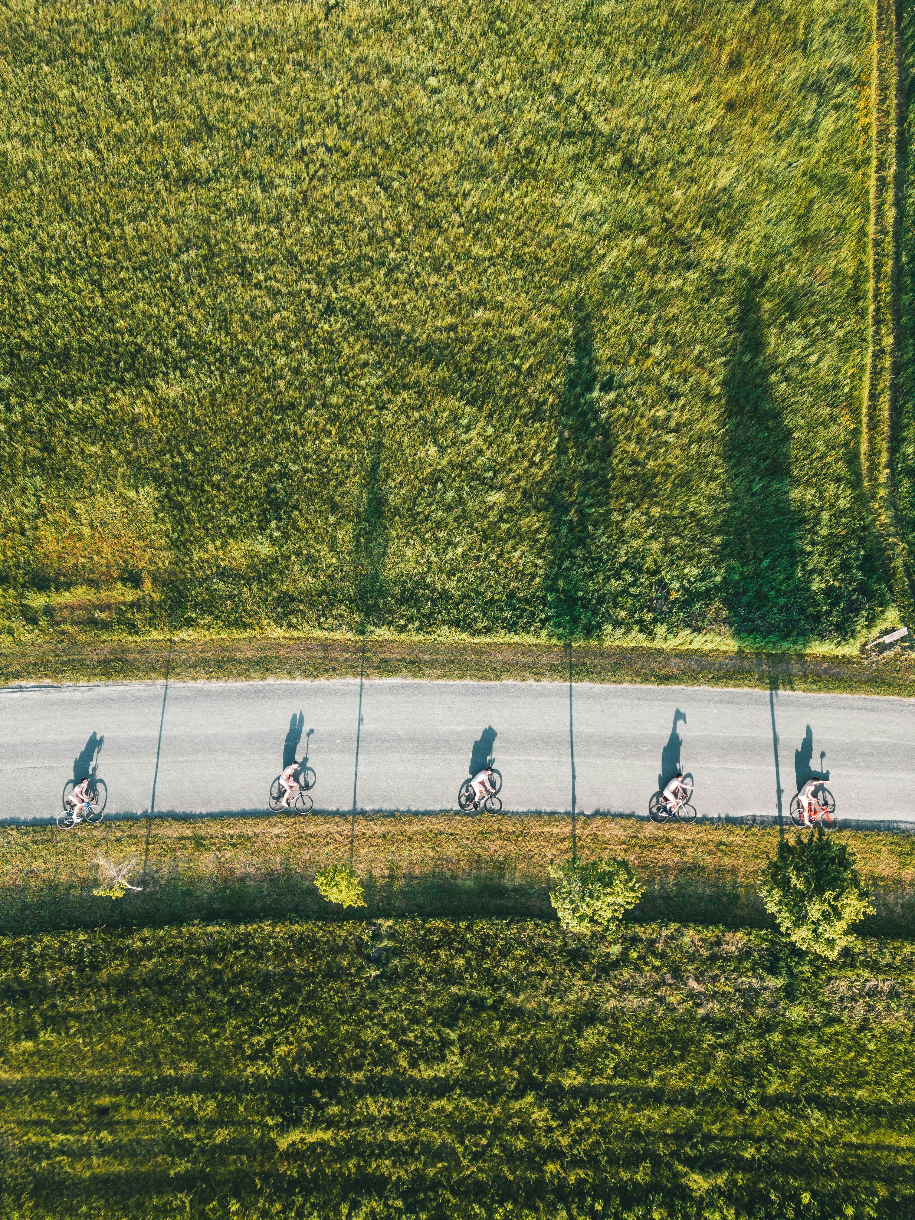 Cyclist Line: Aerial Pace Along a Quiet Road