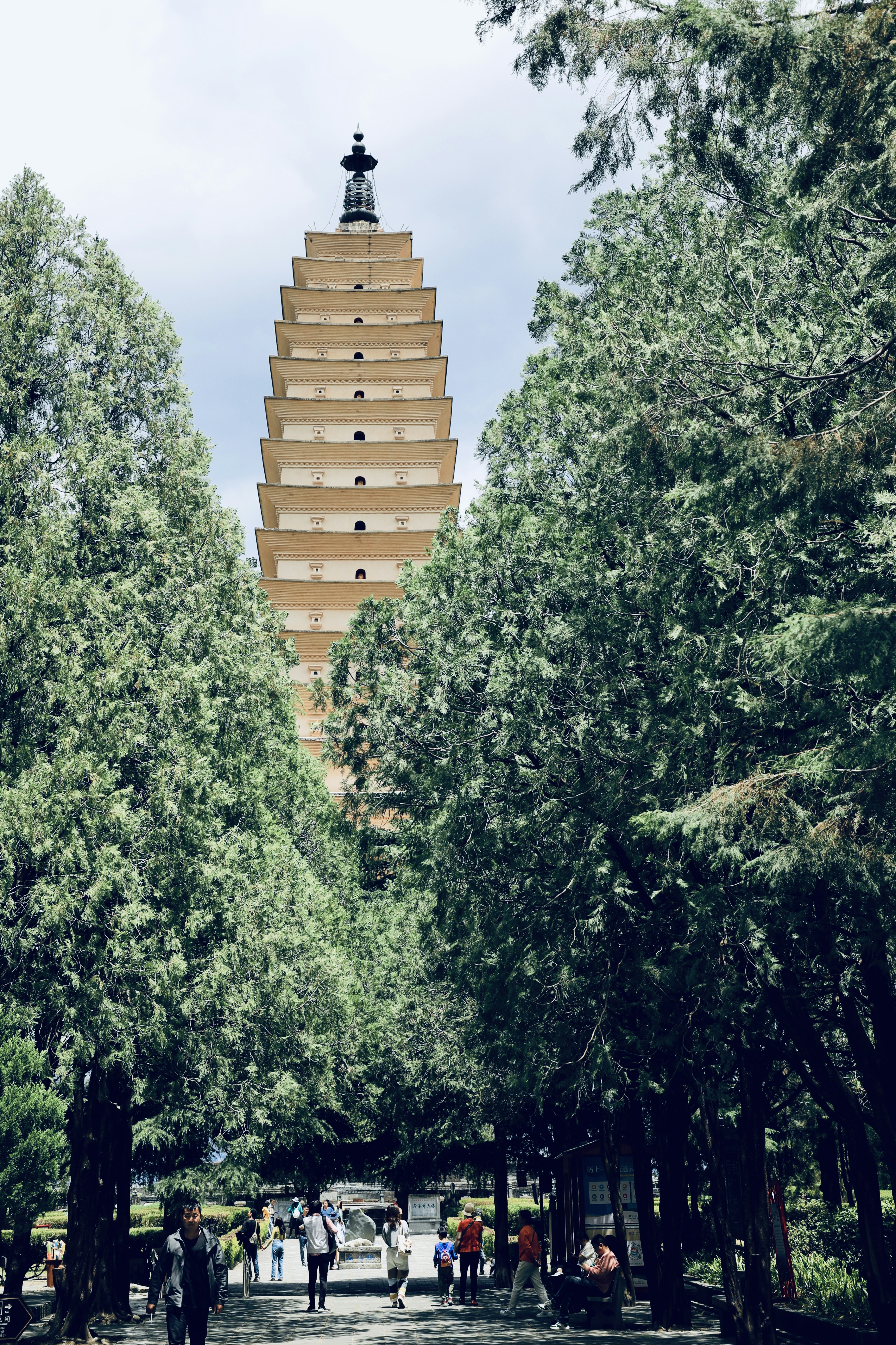 A tall tower towering over a forest filled with trees photo – Free Dali ...