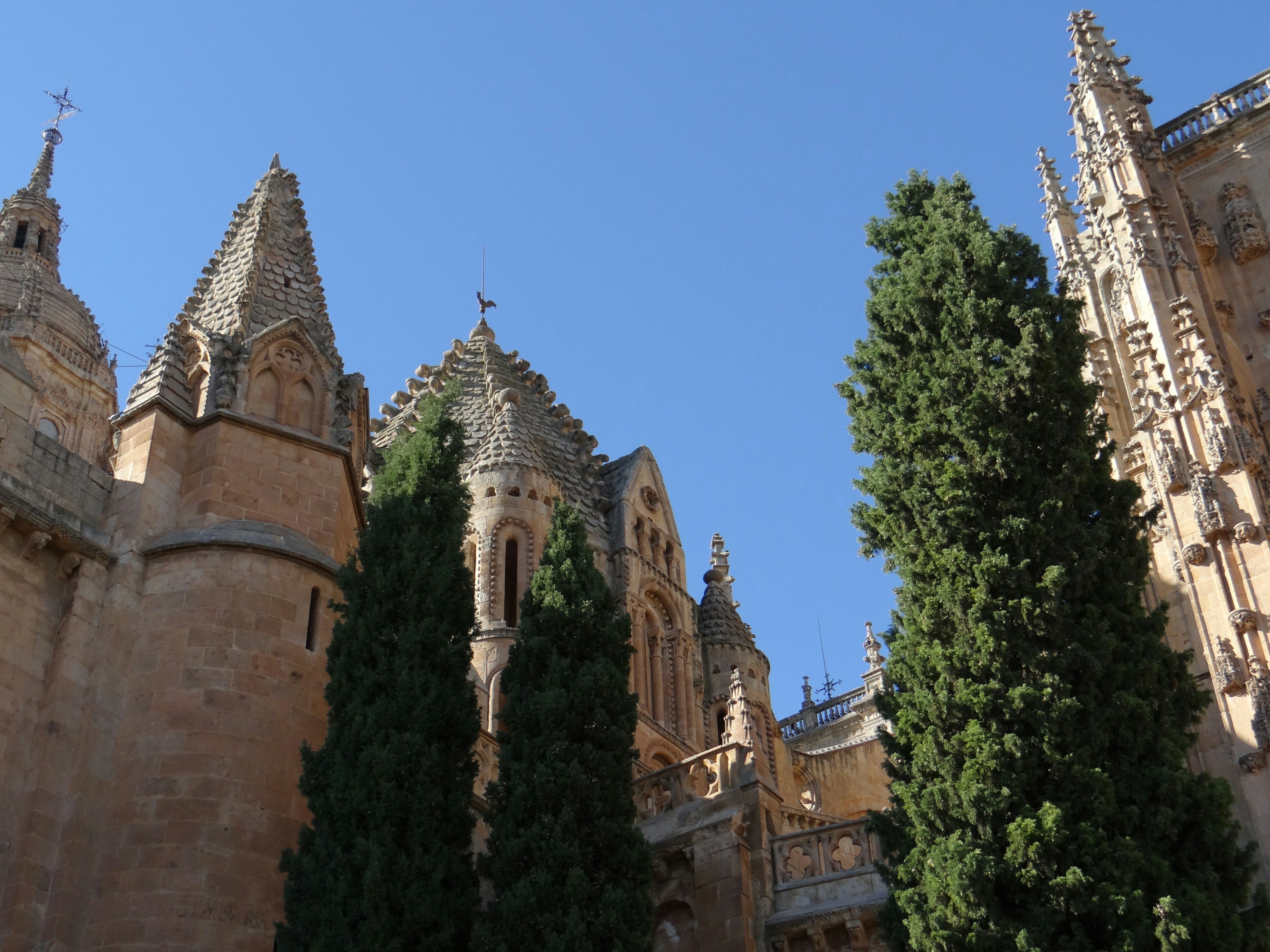 Gothic Spires and Verdant Guardians