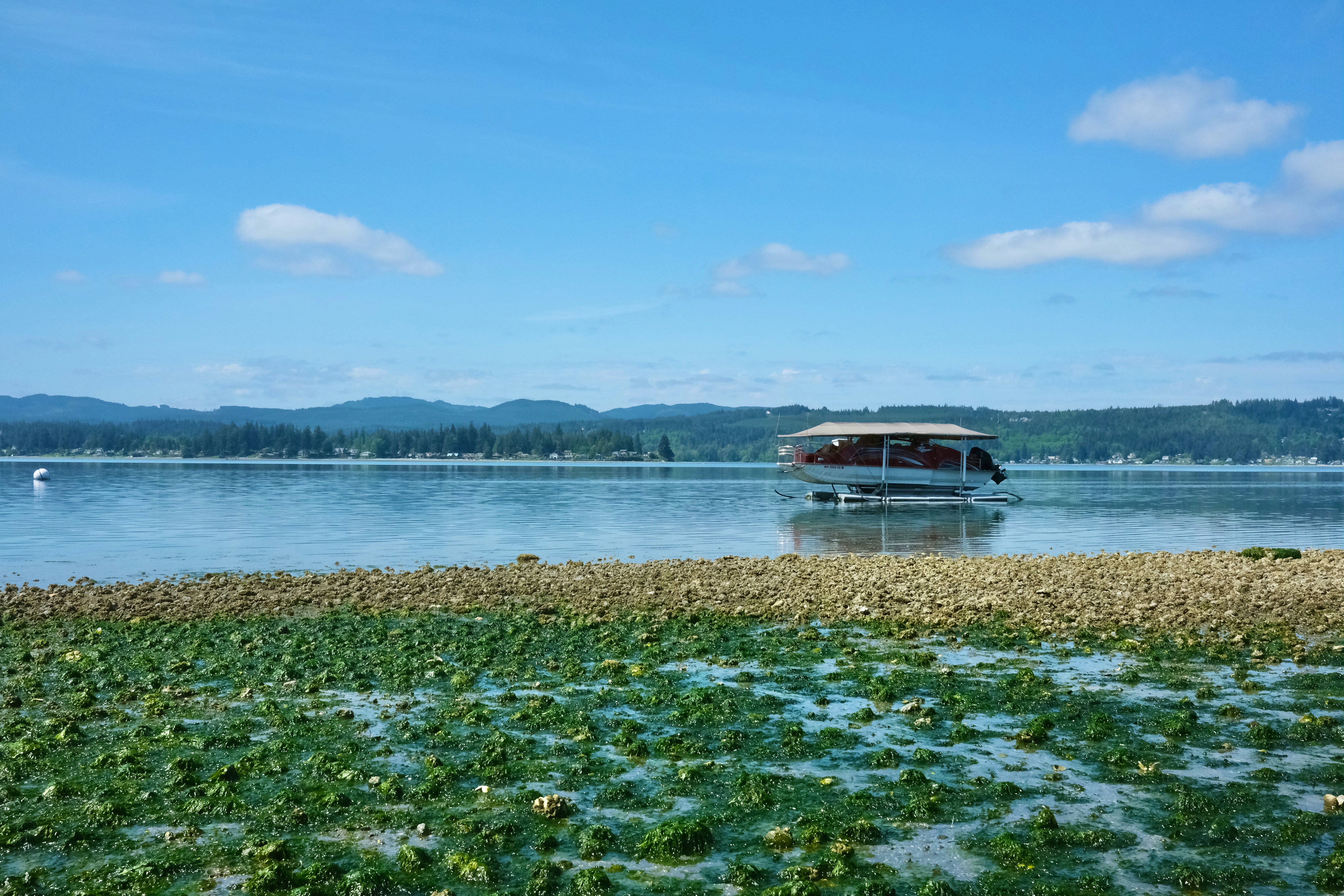 Boat gliding across a calm lake with lily pads in the foreground under a clear blue sky.