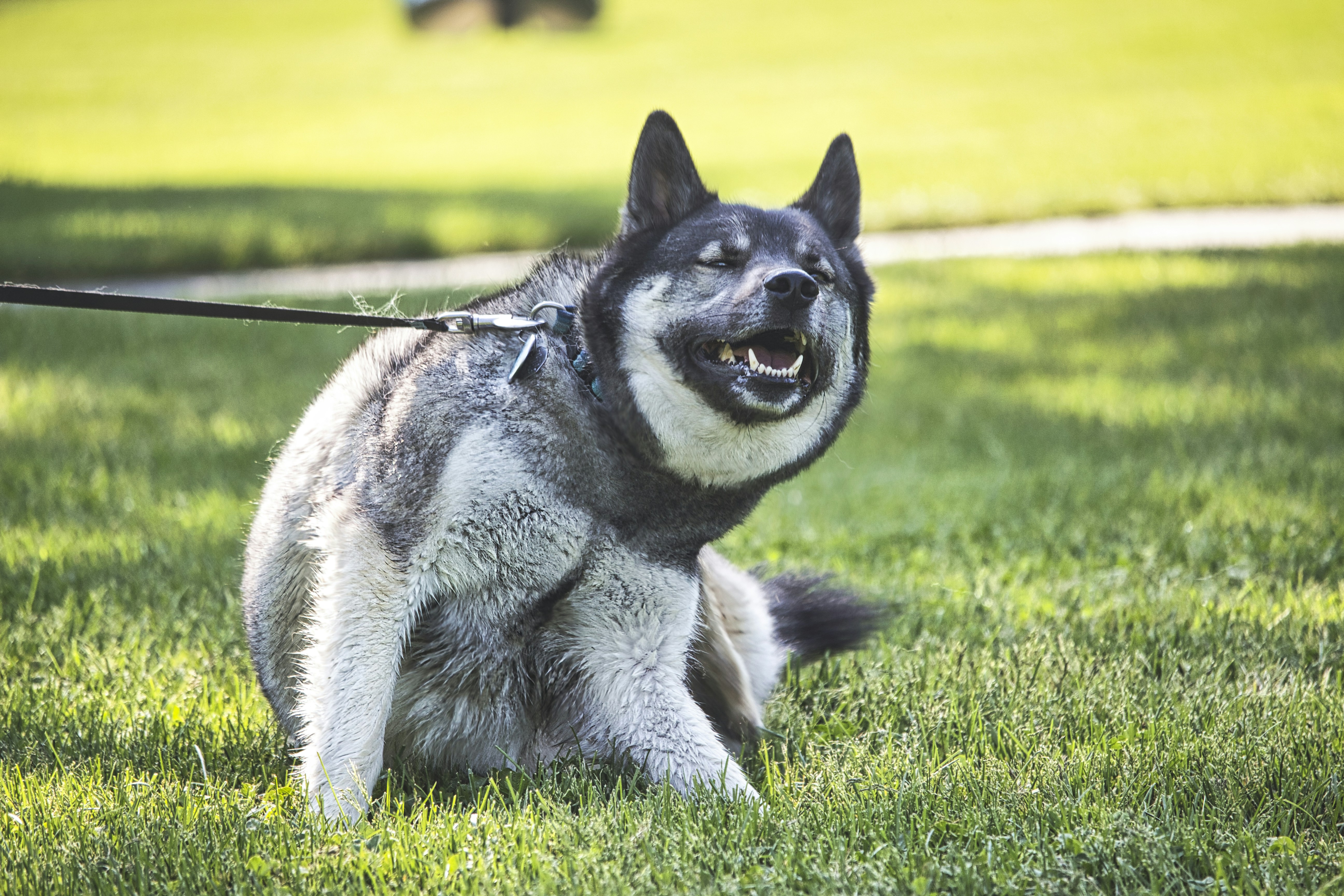 Roger Granquist (@rogergranquist) | Komunitas Foto Unsplash