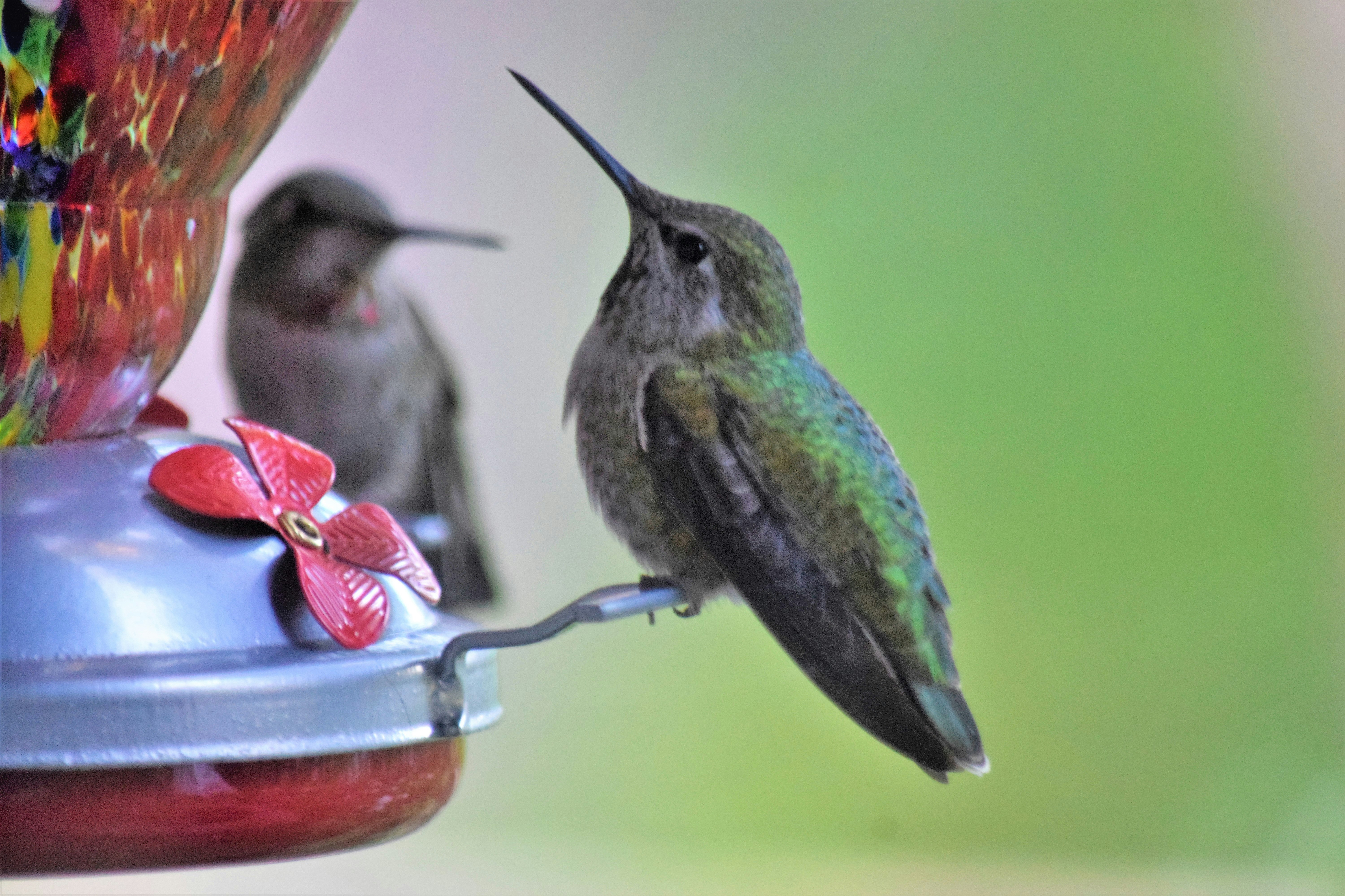 Photo by fr0ggy5 with Nikon D3300