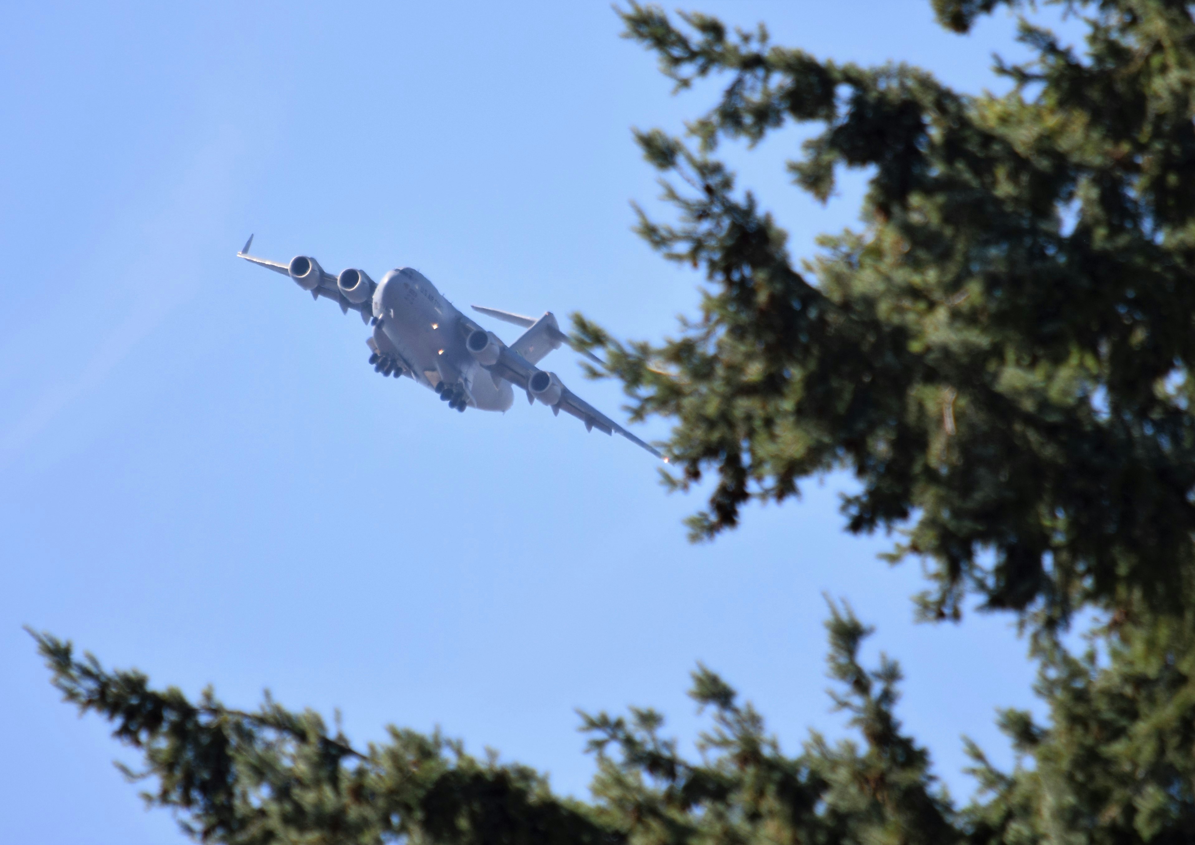 C-17 Globemaster Gliding Above Pine Canopy