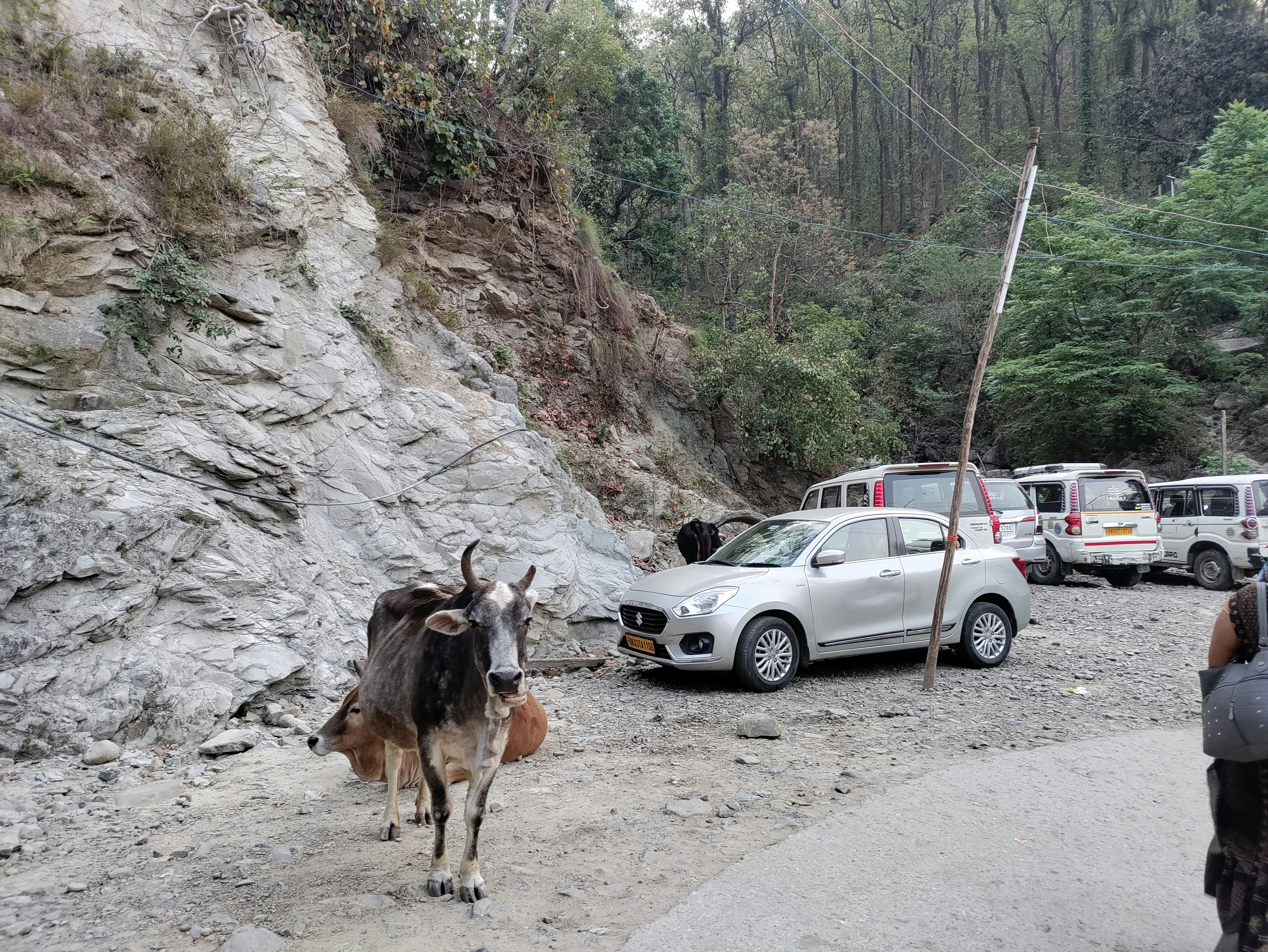 Kutari Fotos | Baixe imagens gratuitas na Unsplash