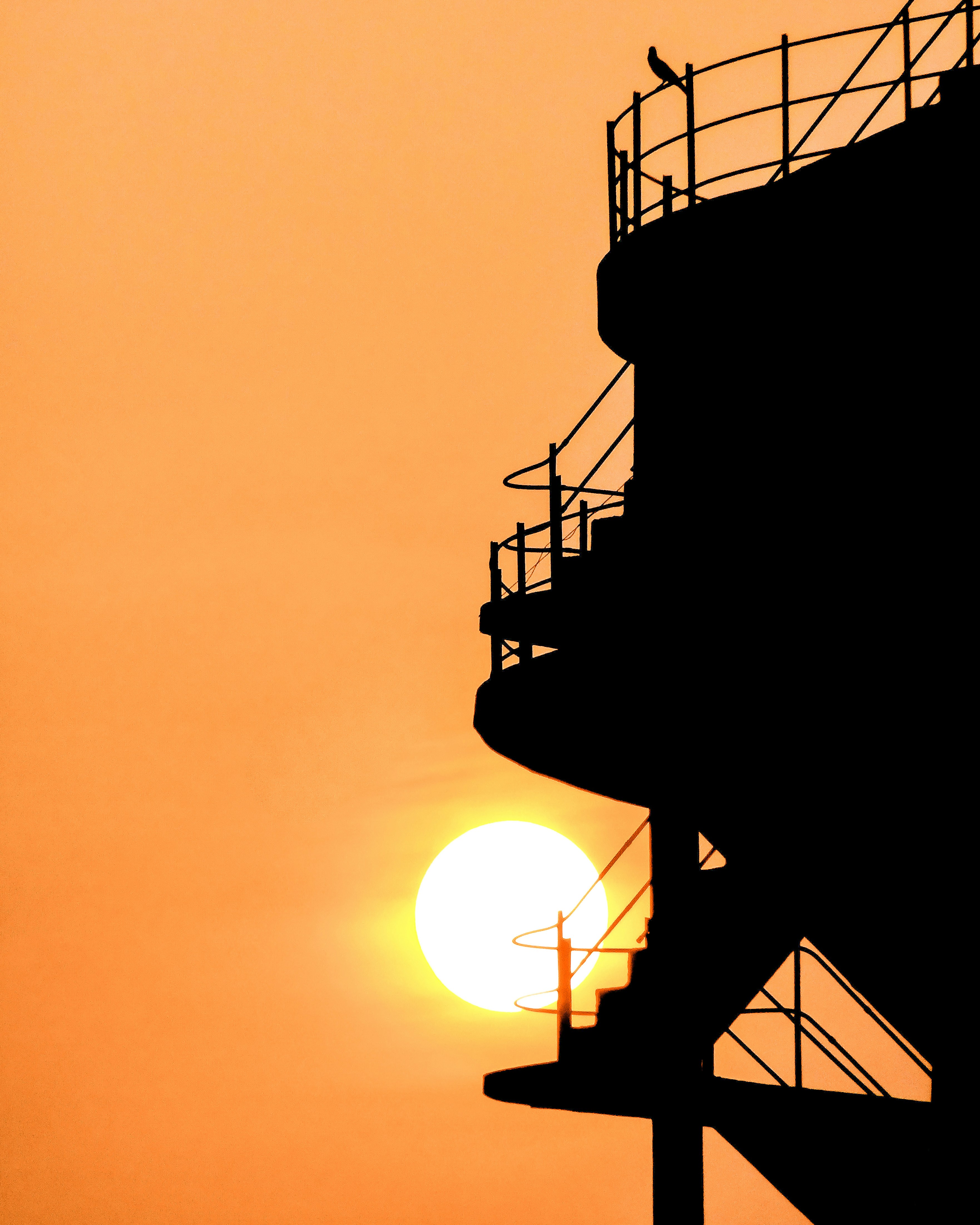 Evening sunset shillouette