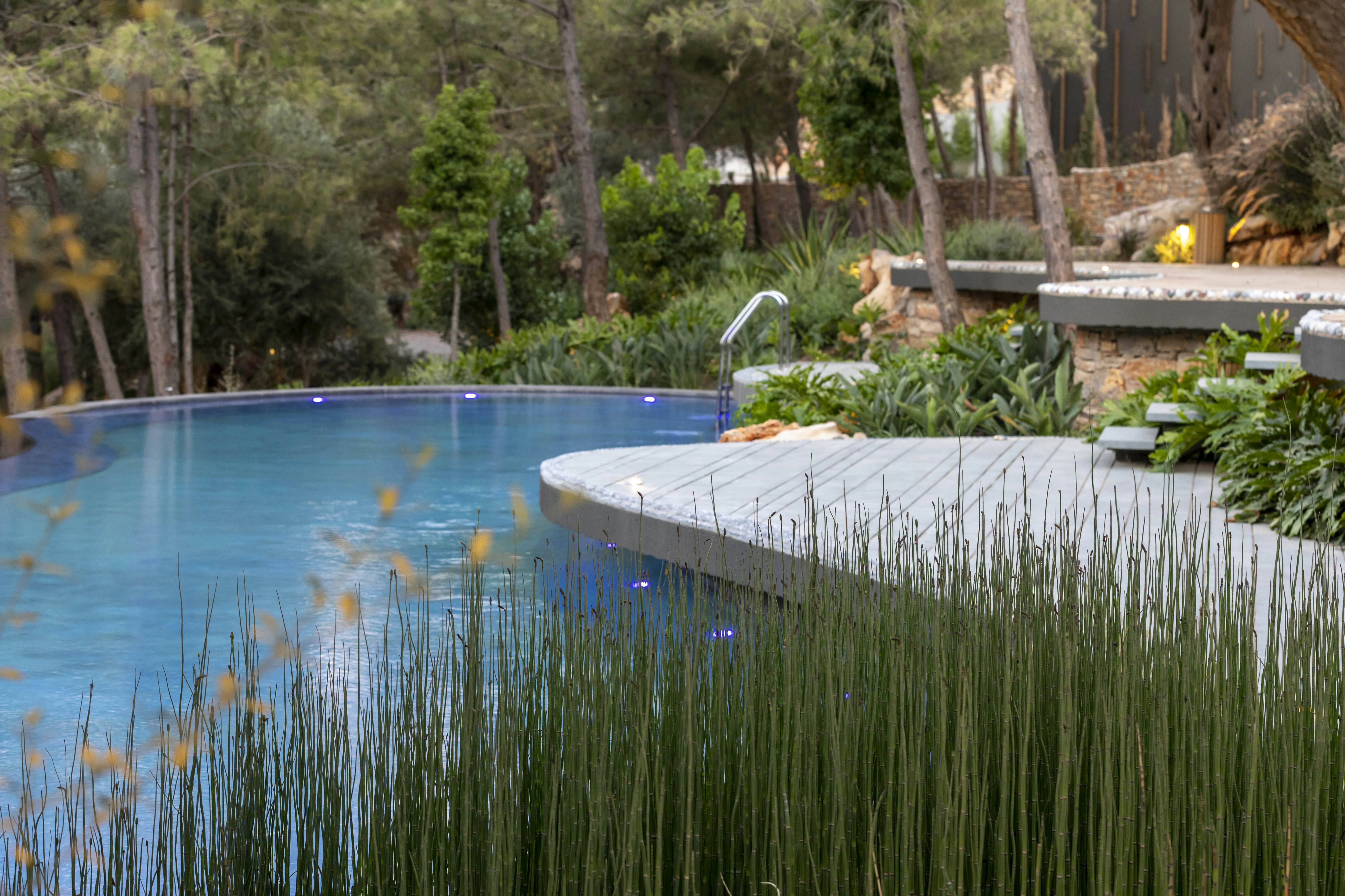 A swimming pool surrounded by tall grass and trees photo – Free Bodrum ...
