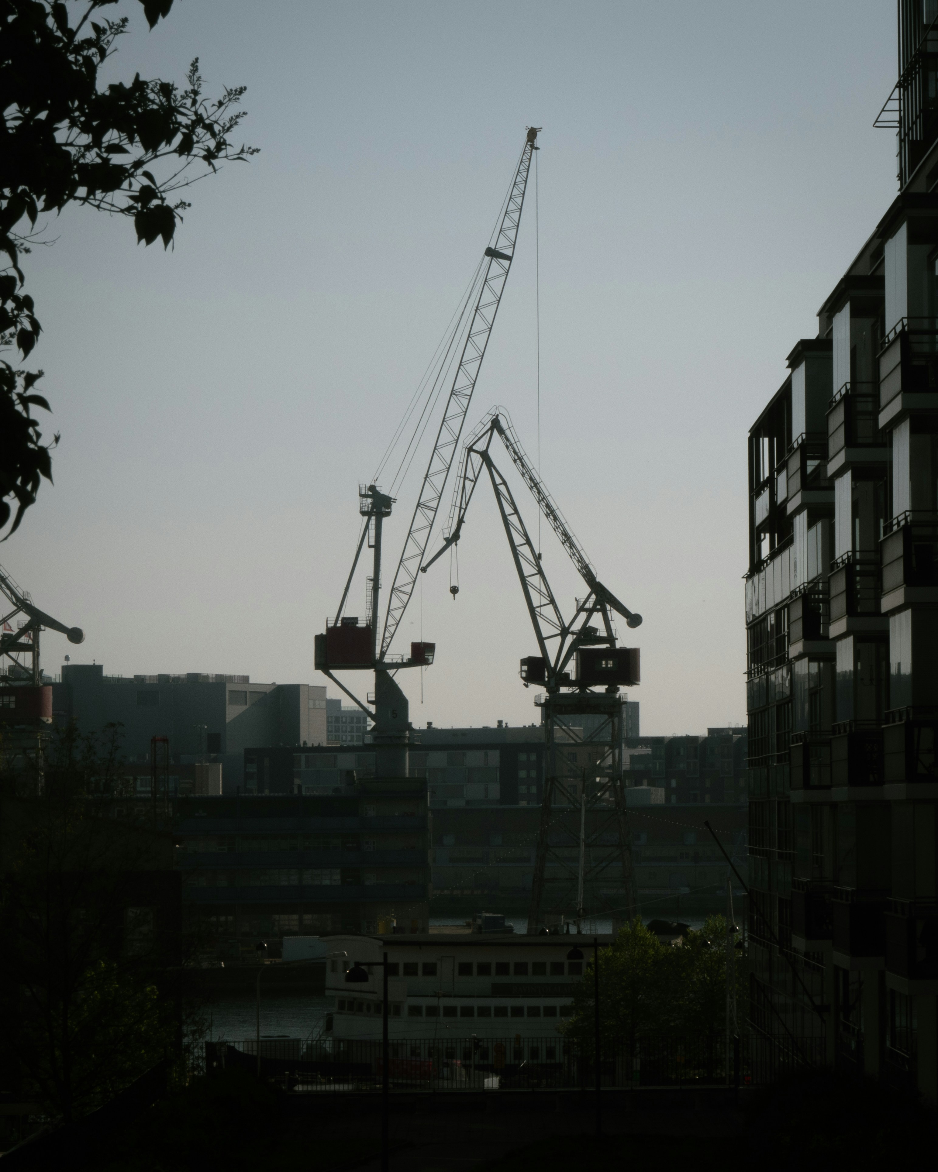 Crane silhouettes over a quiet harbor at dusk