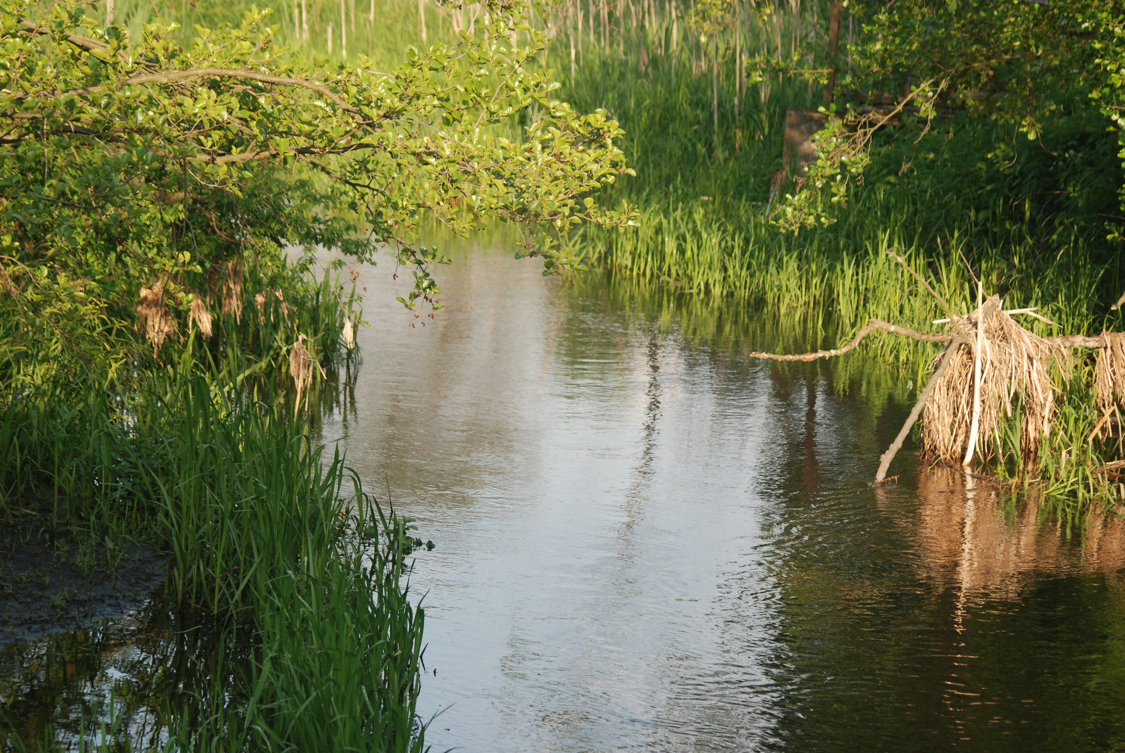 Photo by Piotr Pienkowski with Nikon D80