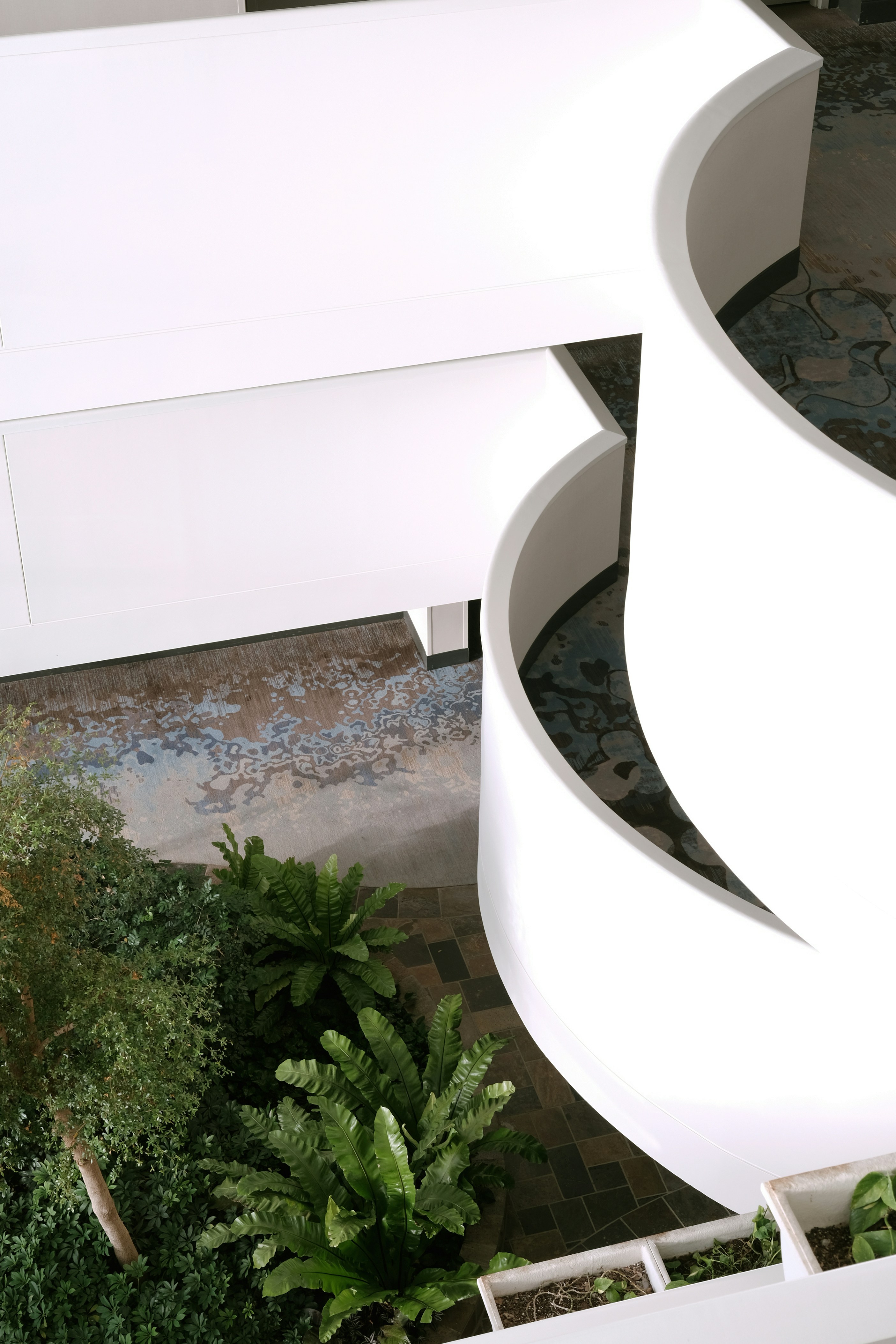 White Arcades: Geometry of Curves in a Quiet Courtyard