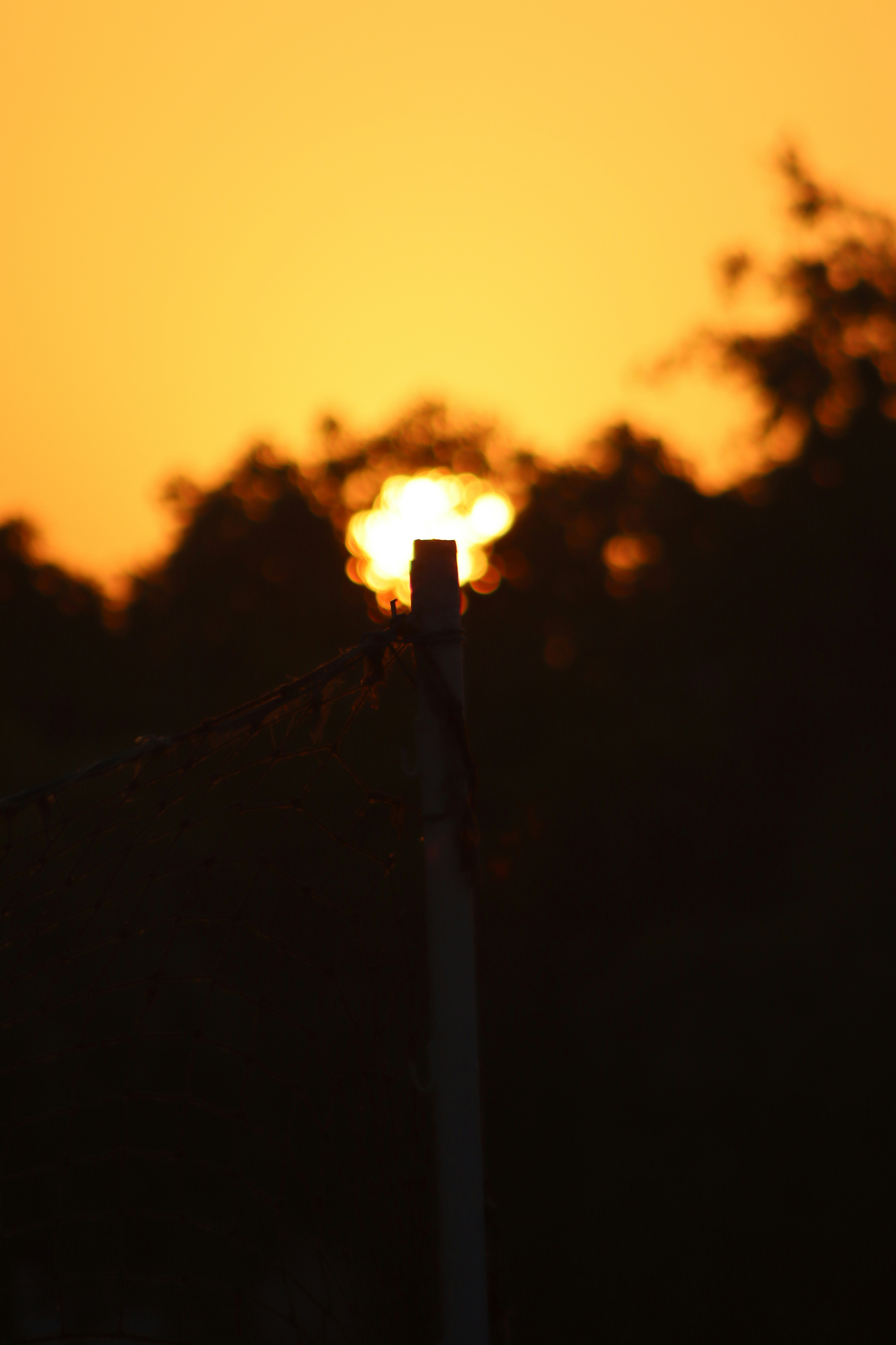 Golden hour silhouette: a lone fence post framed by a glowing sunset