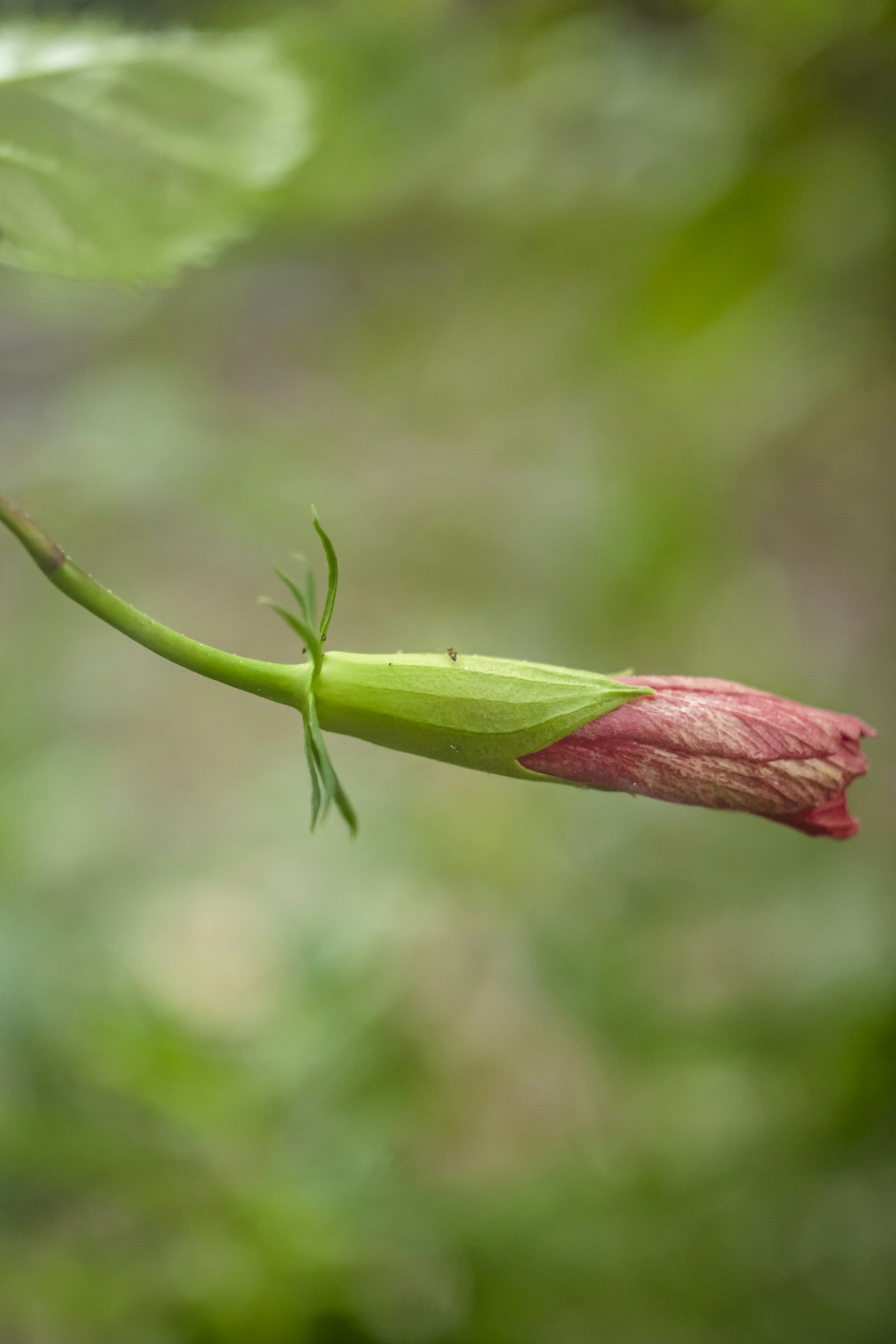Photo by josh A. D. with Canon EOS 5D Mark III