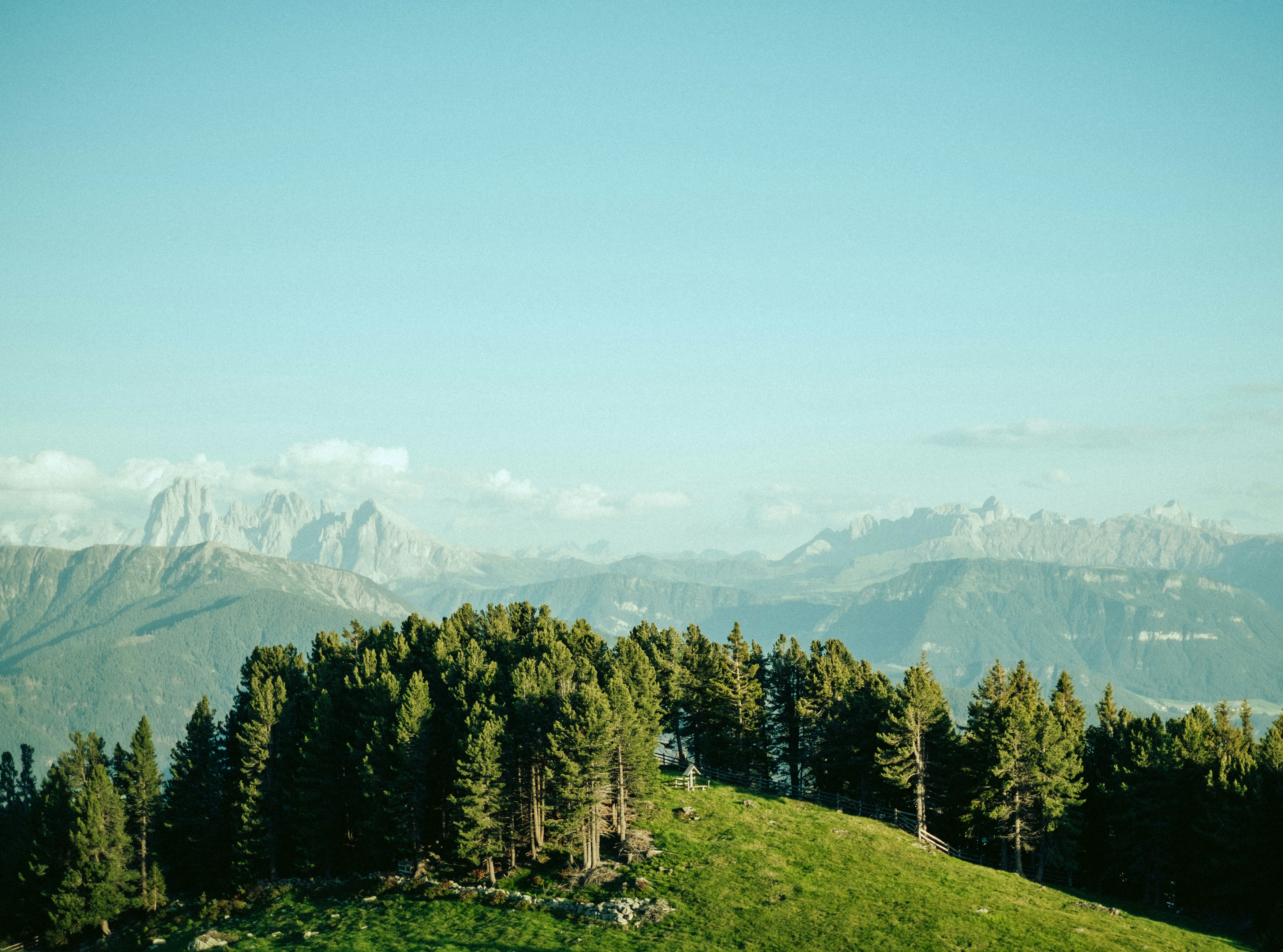 Distant mountain range under a clear sky with a foreground of lush pine trees on a hillside.
