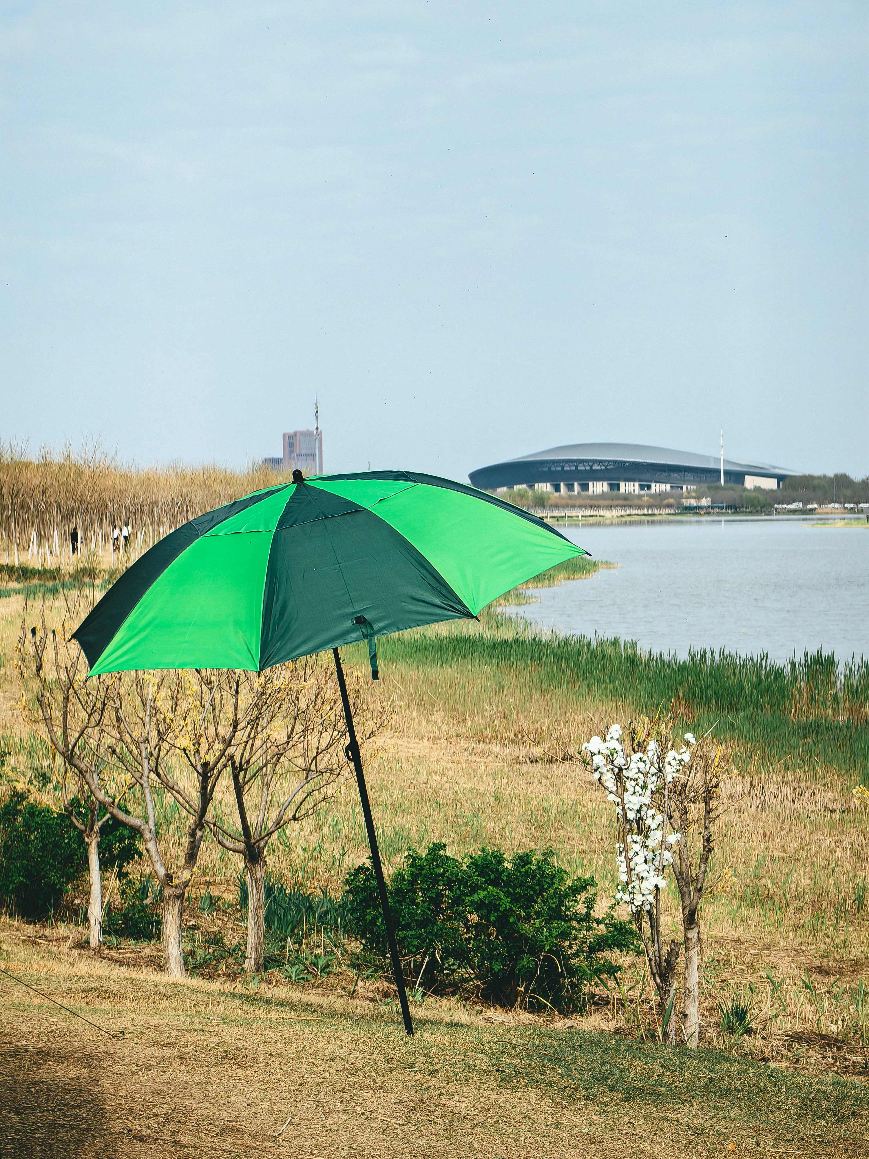 Emerald umbrella leaning on a slender pole over a grassy shoreline beside a calm body of water, with distant modern buildings visible on the horizon.
