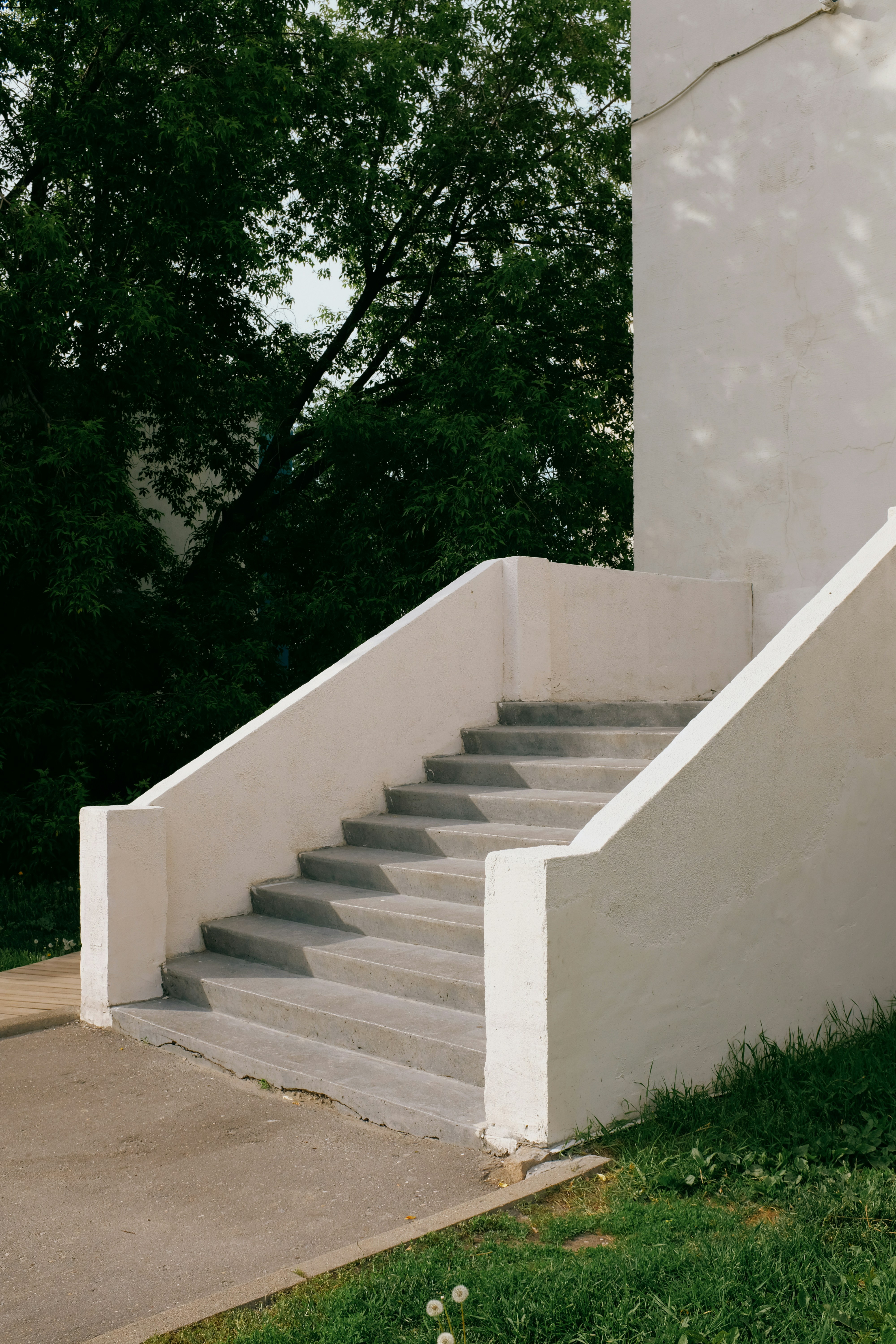 Mondrian Steps: A Quiet Stairway Between White Walls and Green Canopy