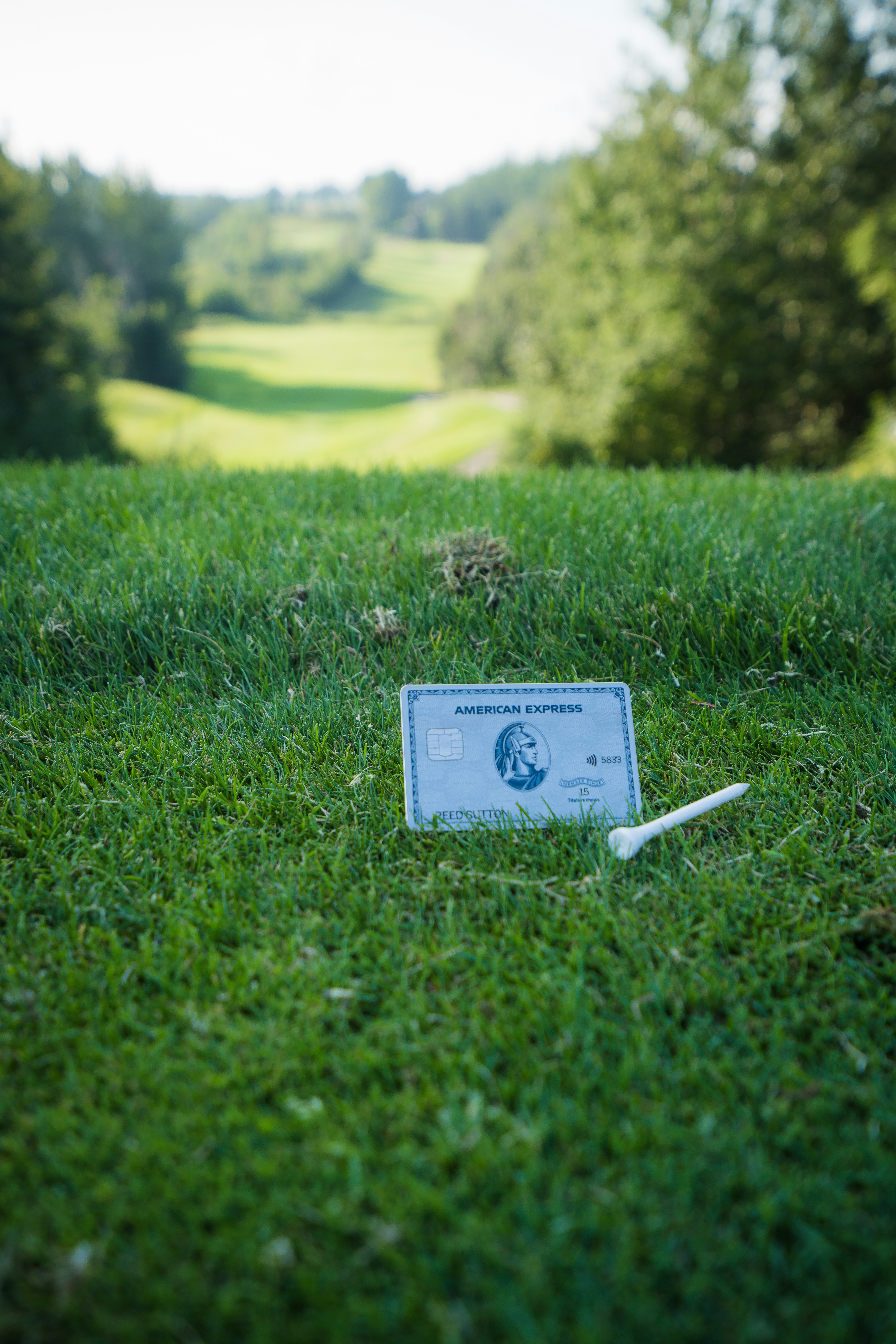 A business card laying on the ground in the grass photo – Free Credit ...