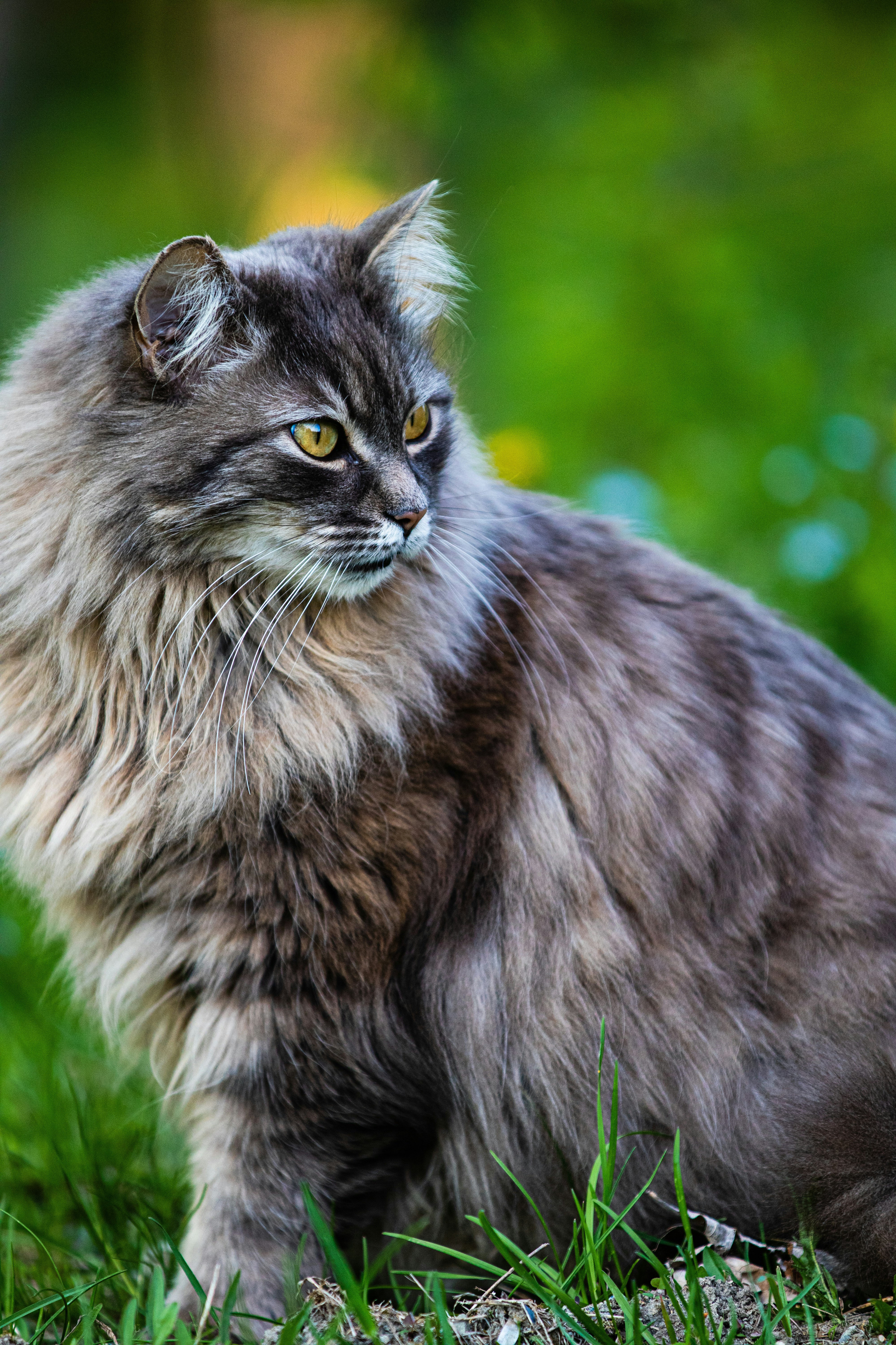 Photo by Francis Painchaud with Canon EOS M50