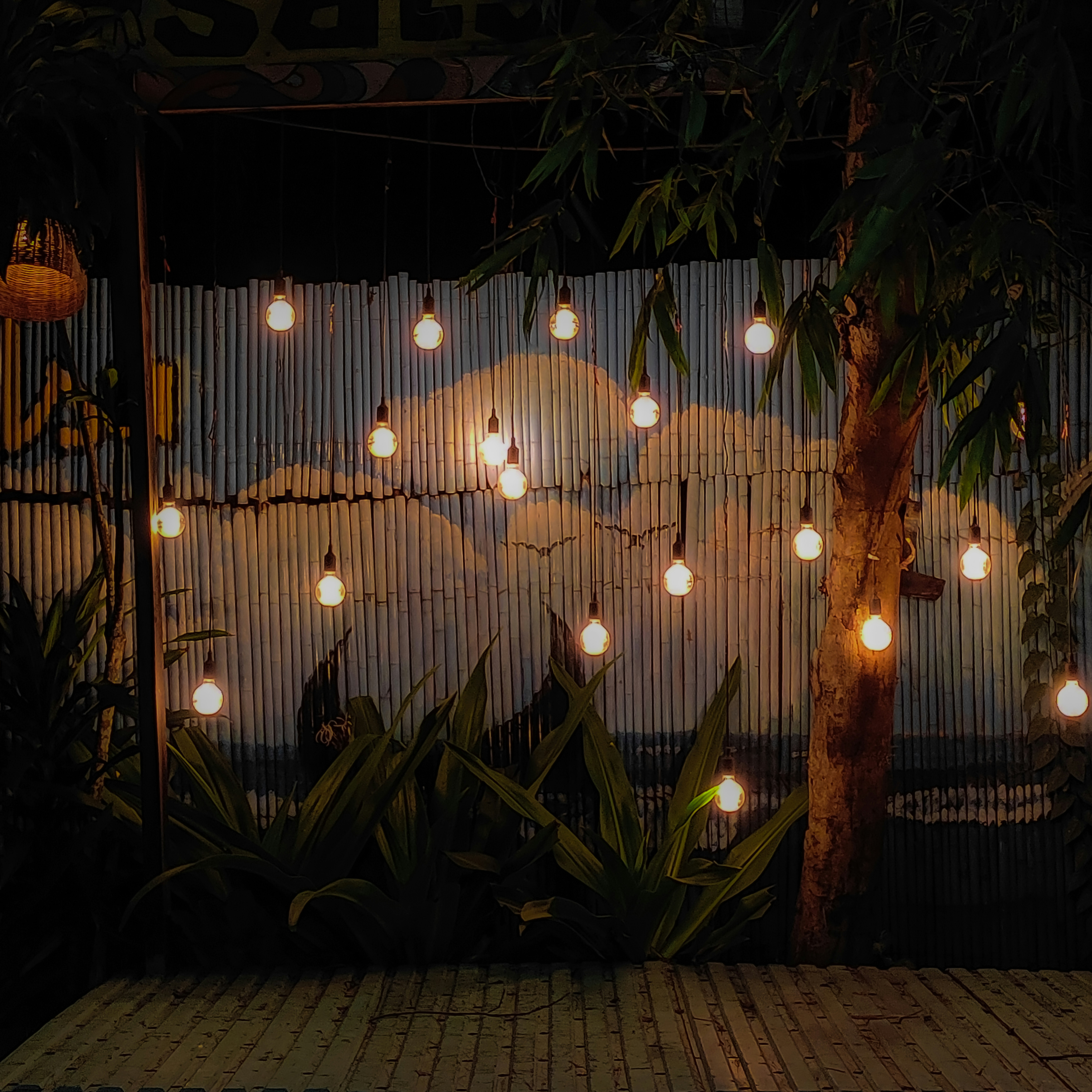 Ornamental Orbs: Warm Glow Among Night-Quiet Foliage