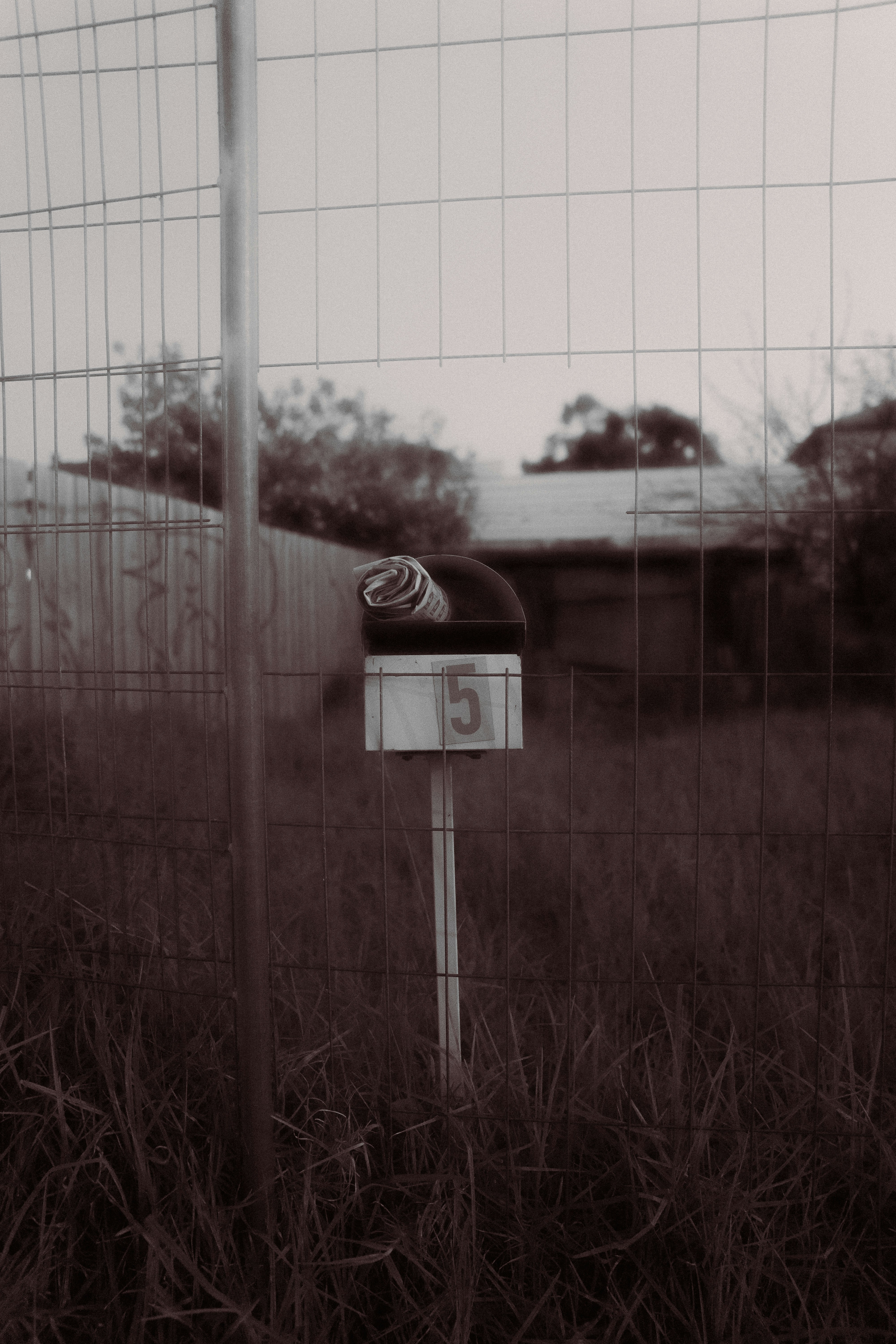 Number Five at the Fence: A Weathered Mailbox in a Sepia-Quiet Yard