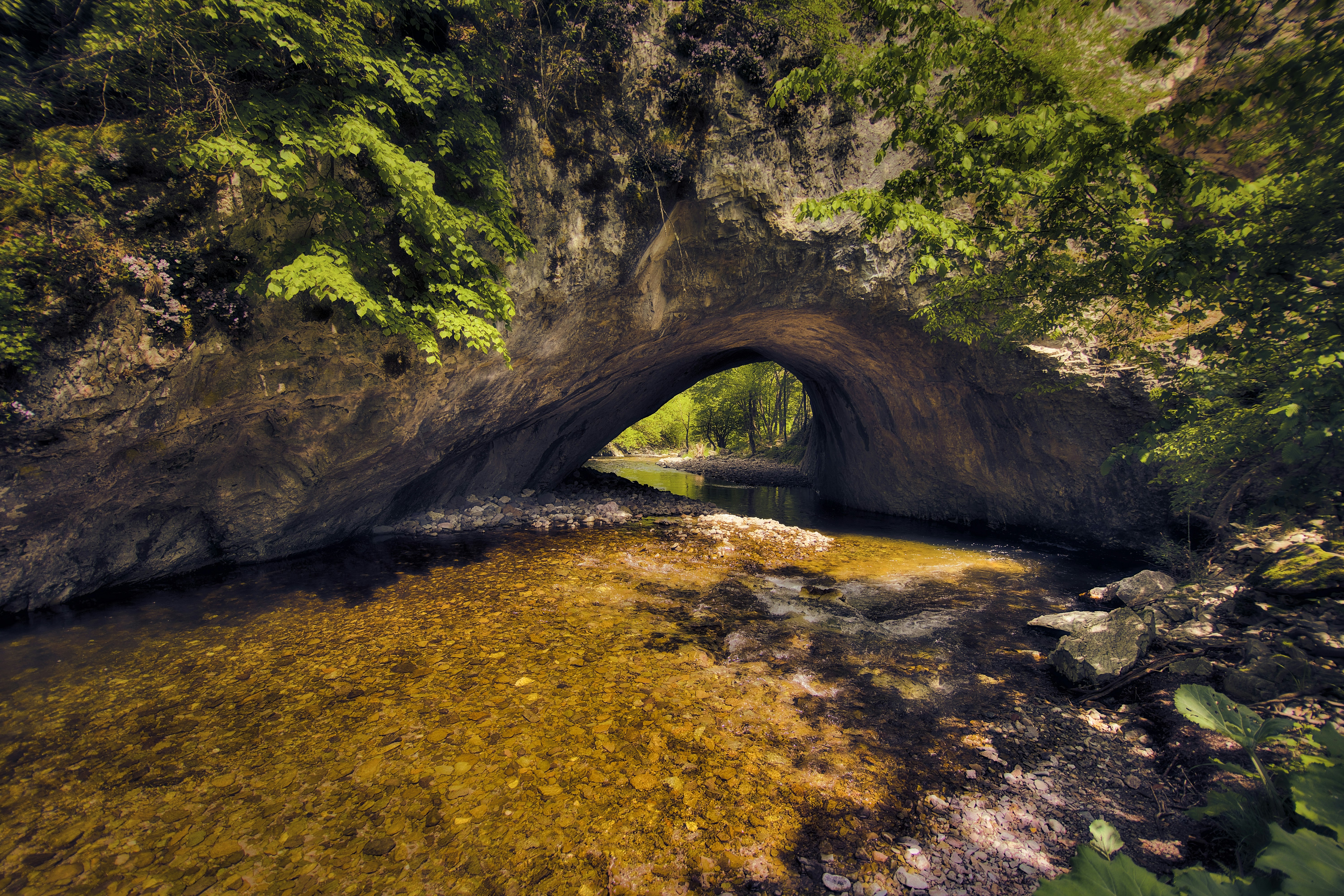 Stone Arch Under Green Canopy: A Quiet Creek's Glow